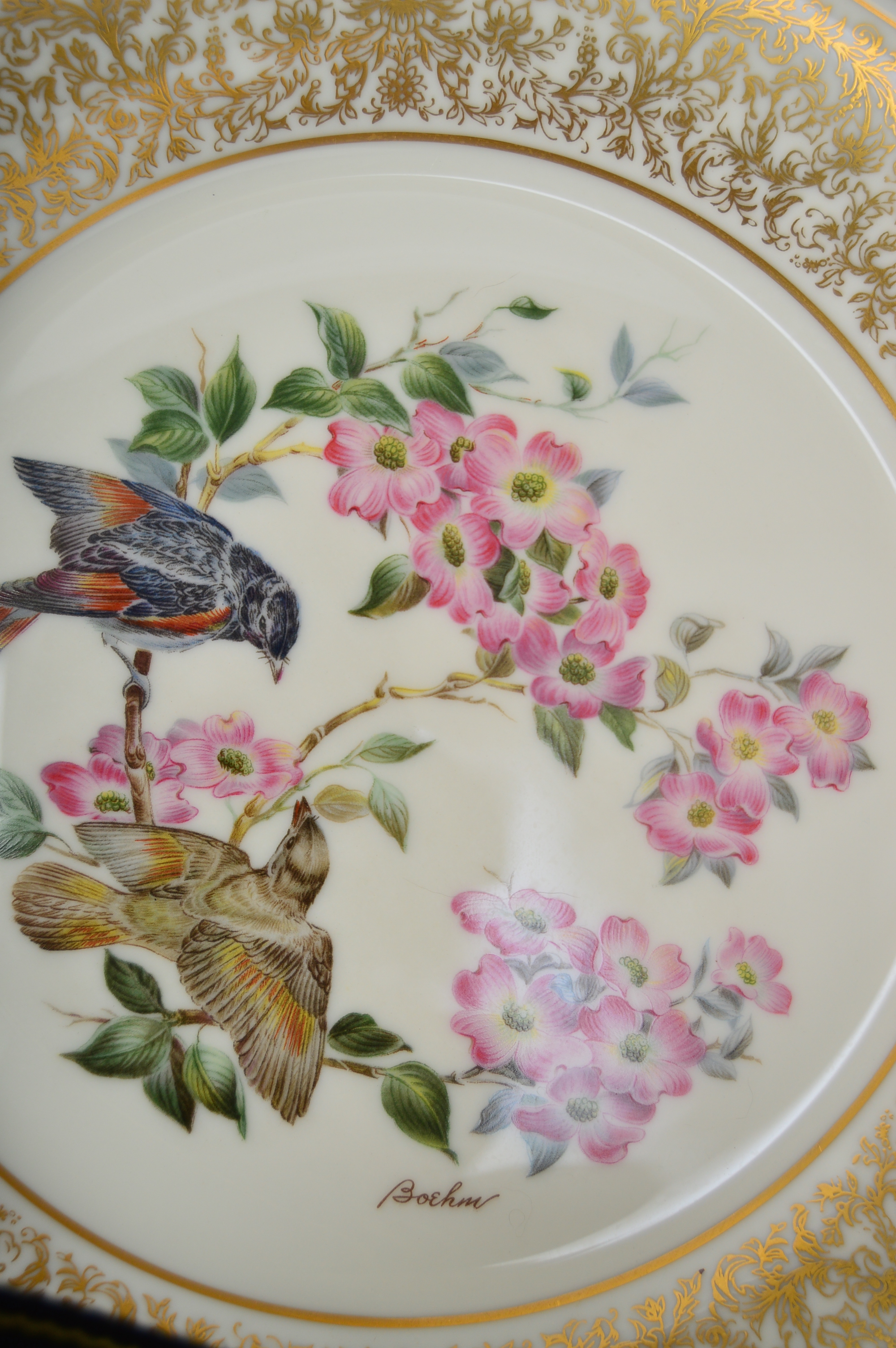Set of Twelve Lenox Limited Edition Collectible Porcelain Bird Plates ...