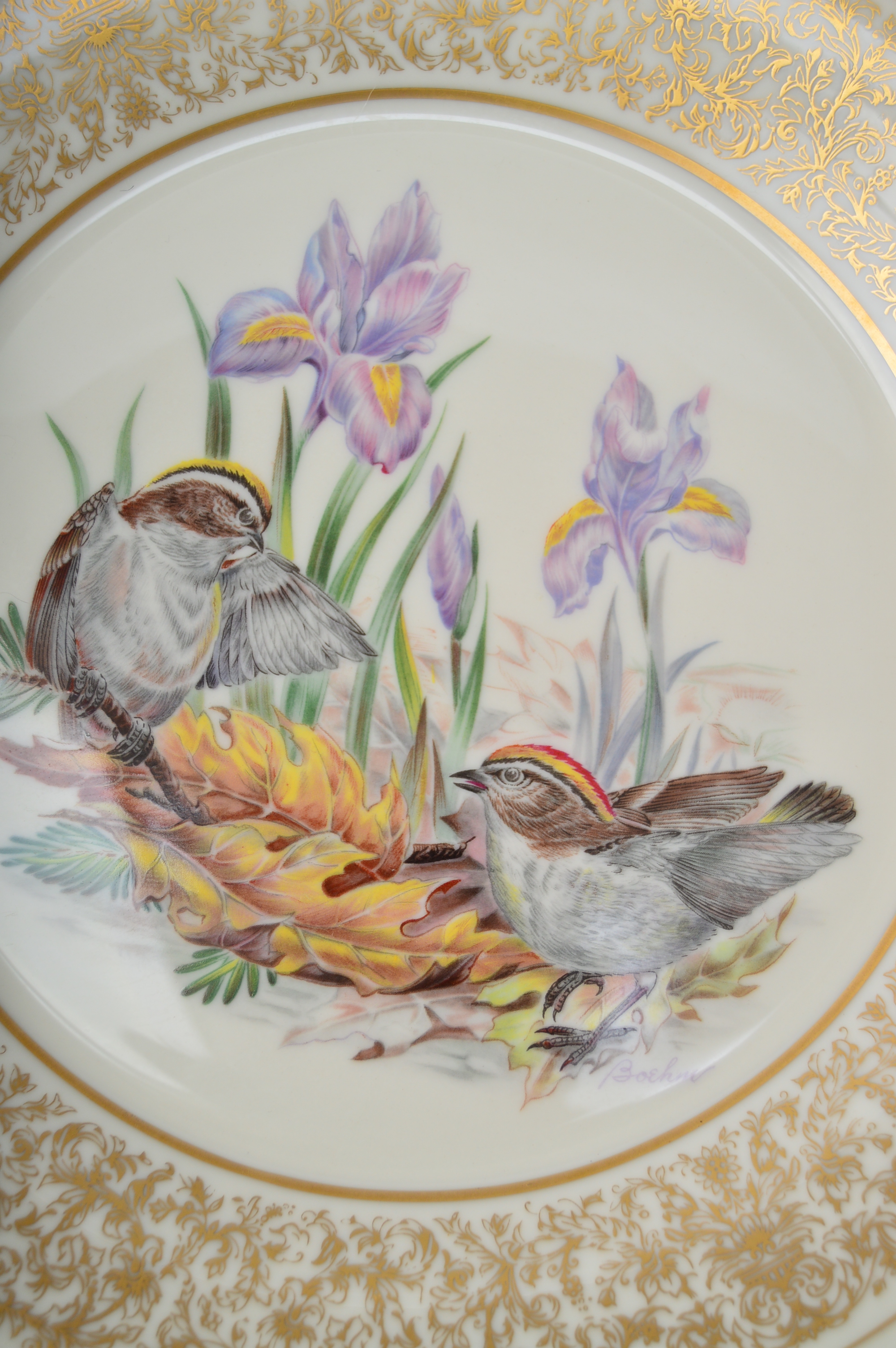 Set of Twelve Lenox Limited Edition Collectible Porcelain Bird Plates ...