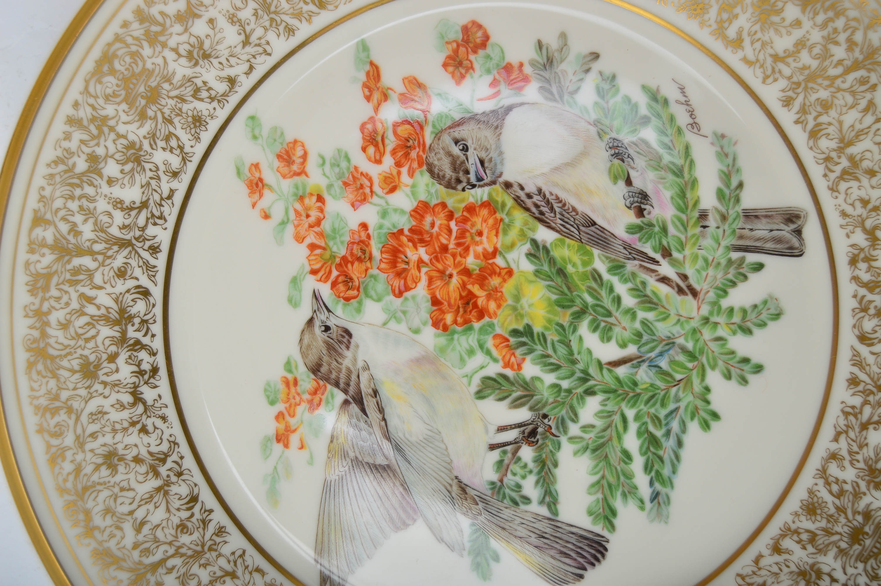 Set of Twelve Lenox Limited Edition Collectible Porcelain Bird Plates ...
