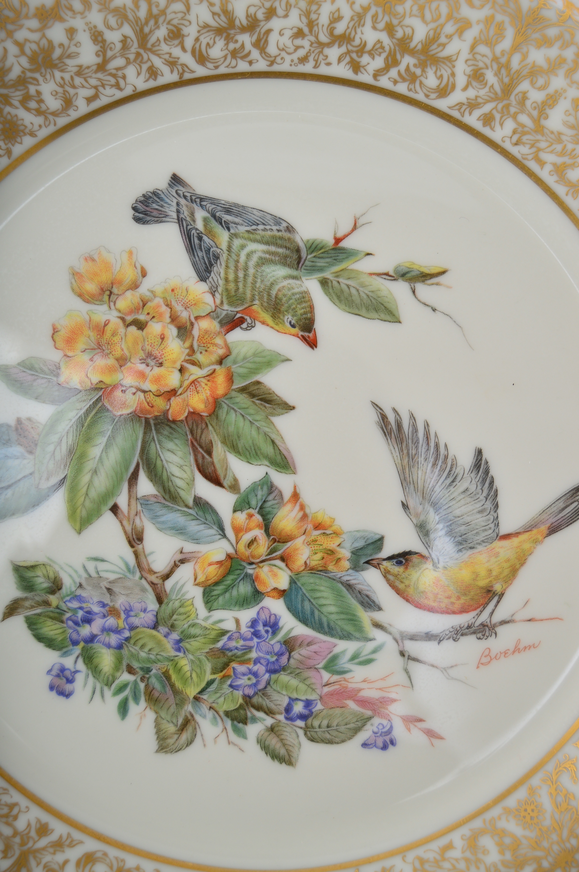 Set of Twelve Lenox Limited Edition Collectible Porcelain Bird Plates ...