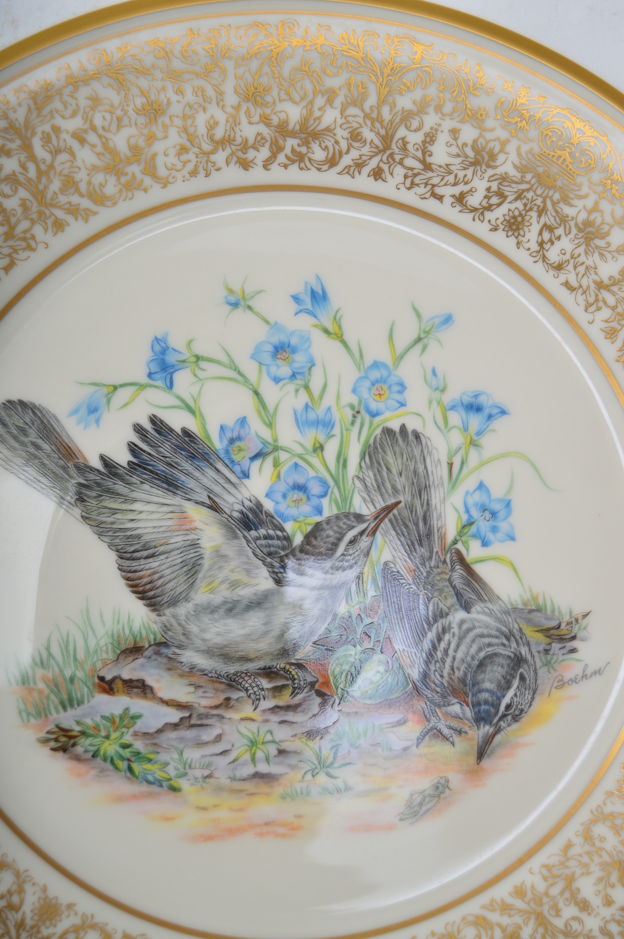 Set of Twelve Lenox Limited Edition Collectible Porcelain Bird Plates ...