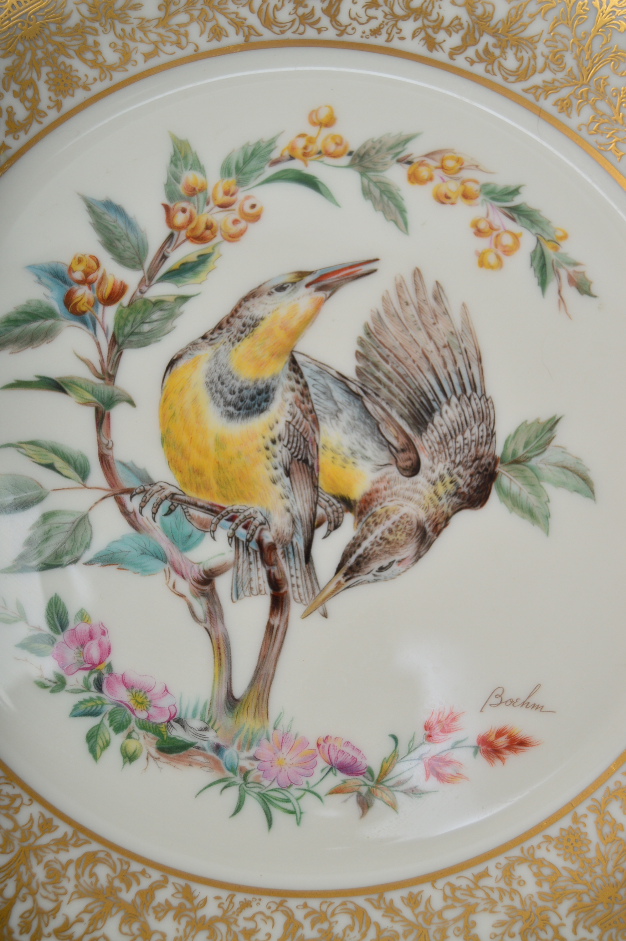 Set of Twelve Lenox Limited Edition Collectible Porcelain Bird Plates ...