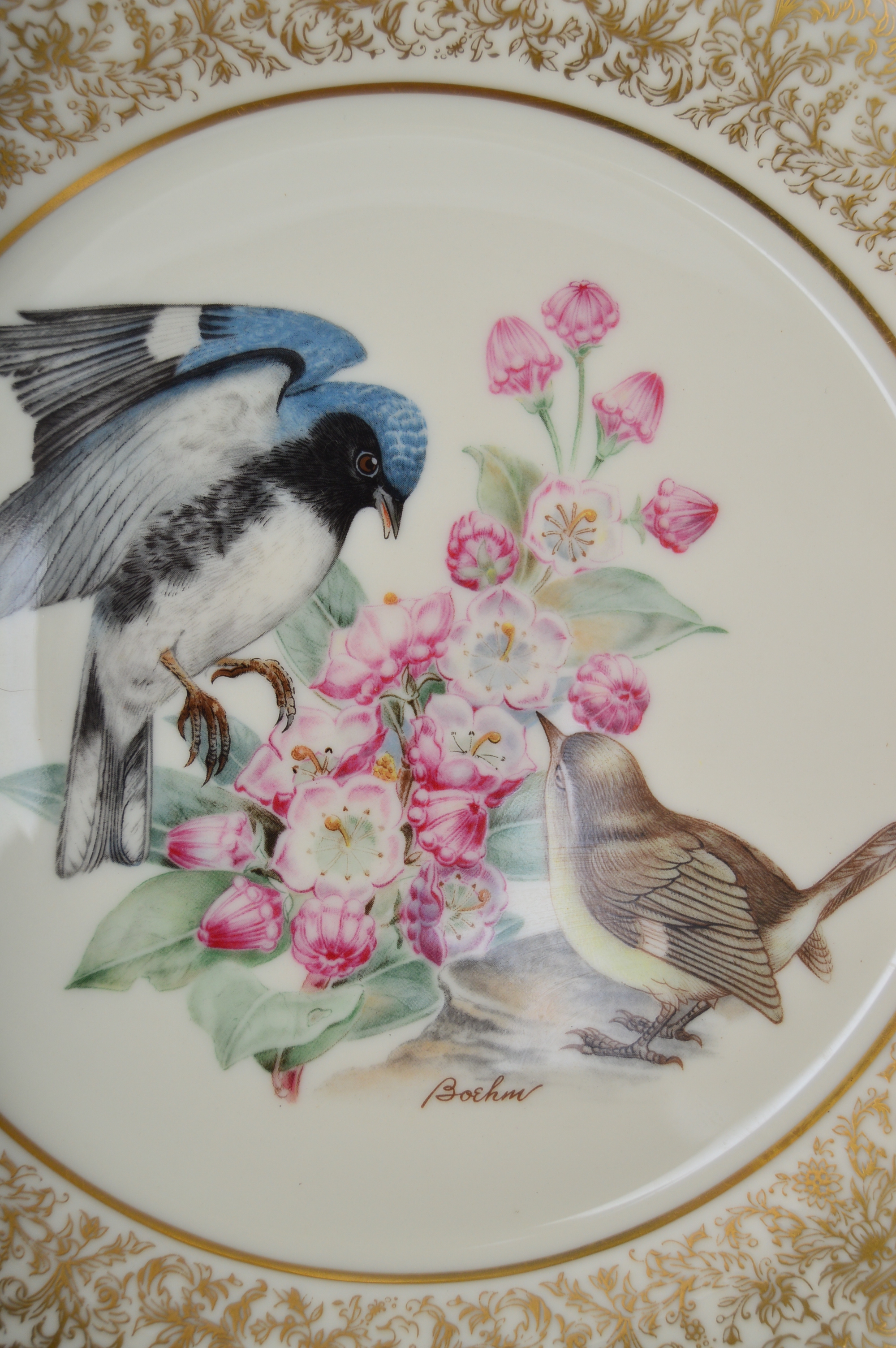 Set of Twelve Lenox Limited Edition Collectible Porcelain Bird Plates ...