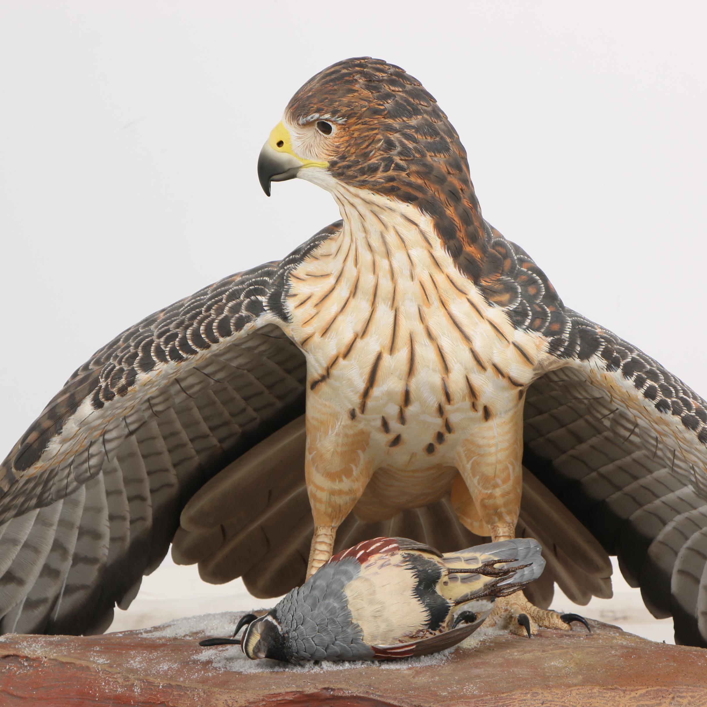 "Red-Tailed Hawk" Wood-Carved Sculpture by William Bishop | EBTH