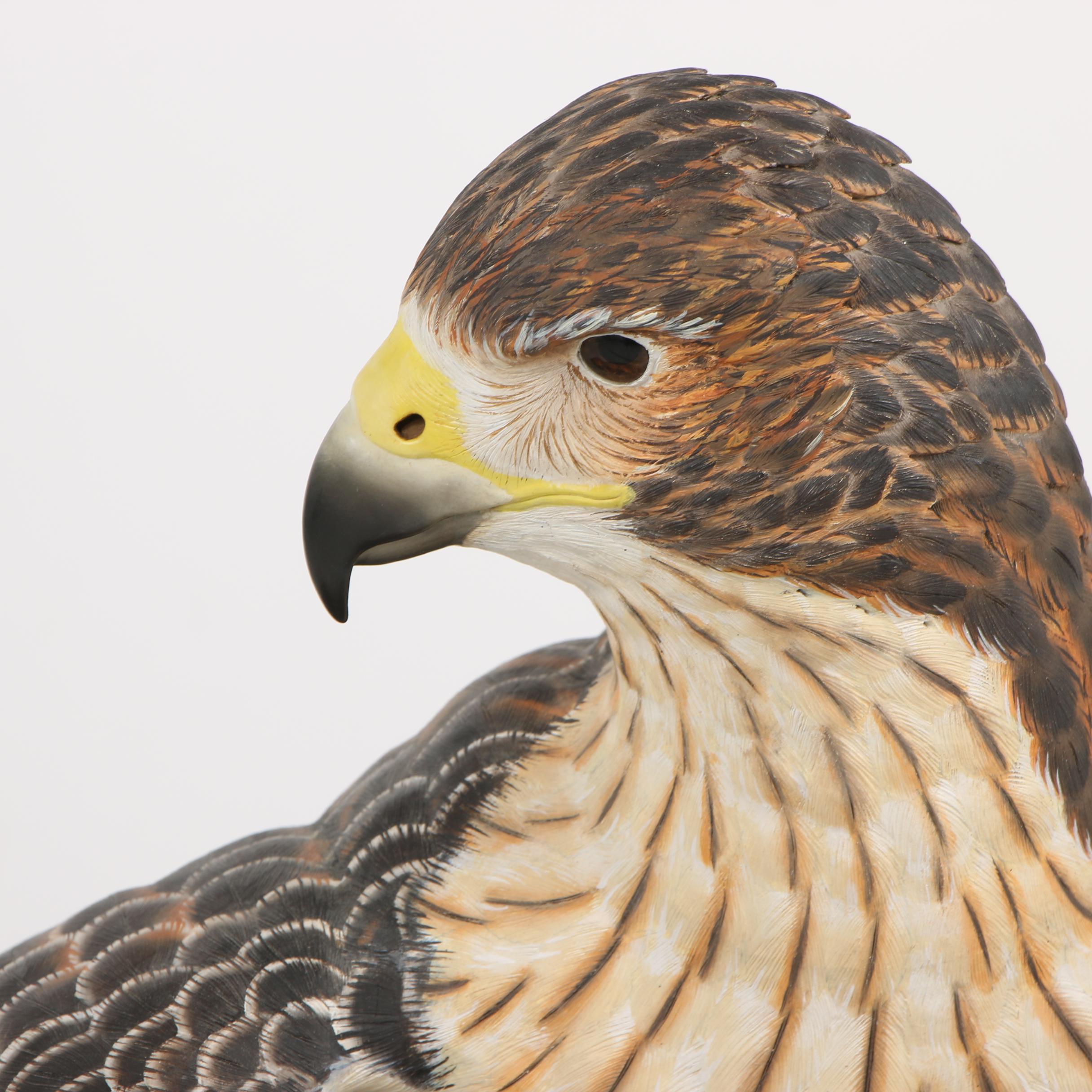 "Red-Tailed Hawk" Wood-Carved Sculpture by William Bishop | EBTH