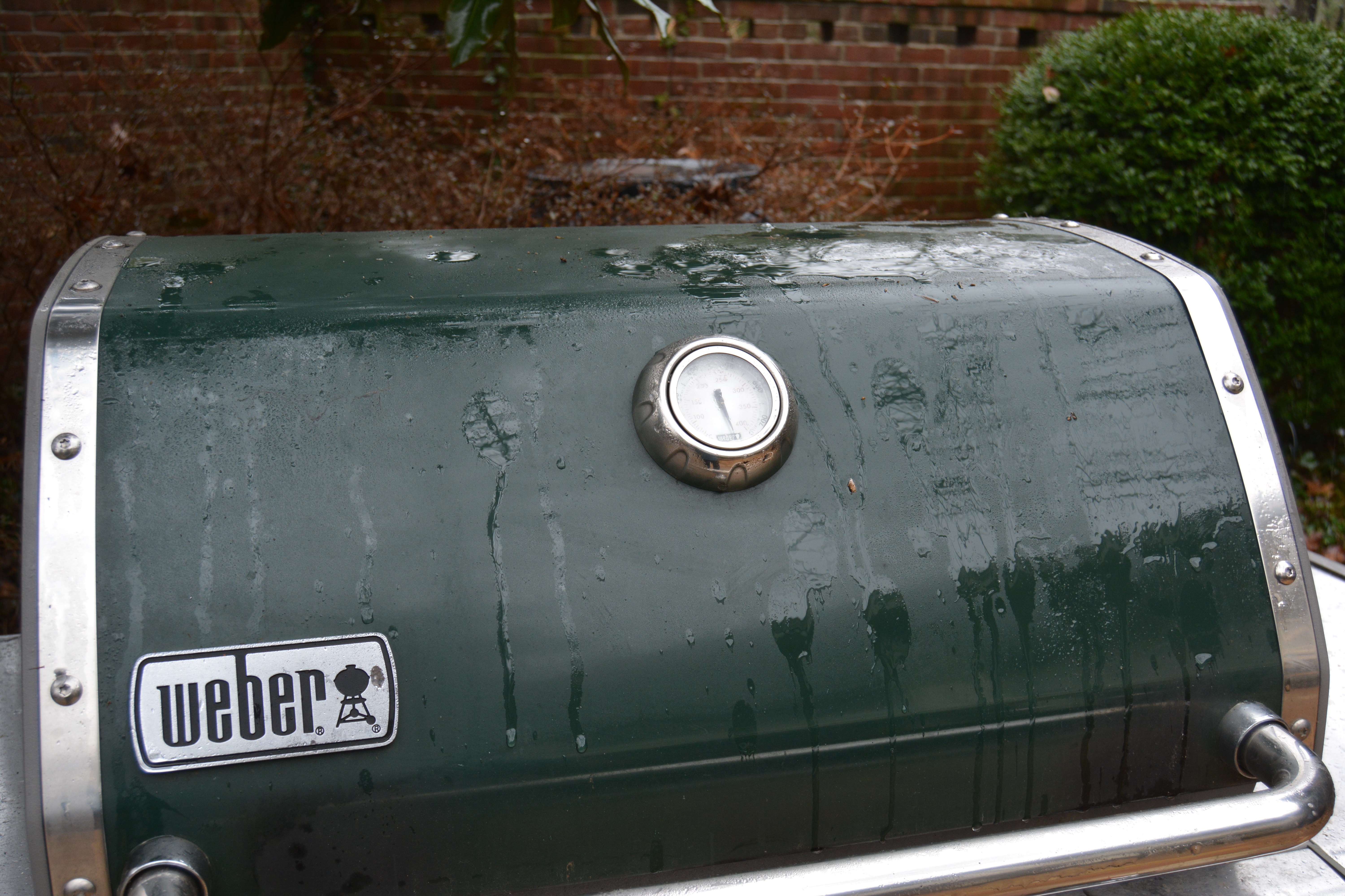 Weber Genesis Special Edition Gas Grill | EBTH