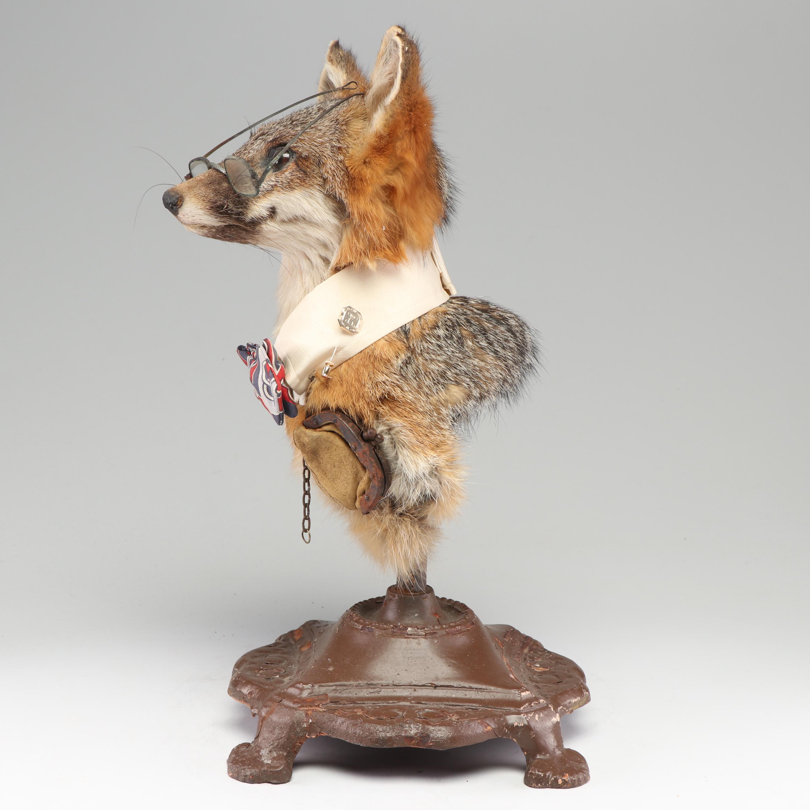 "A Gentleman Fox" Taxidermy Embellished Red Fox Mount | EBTH