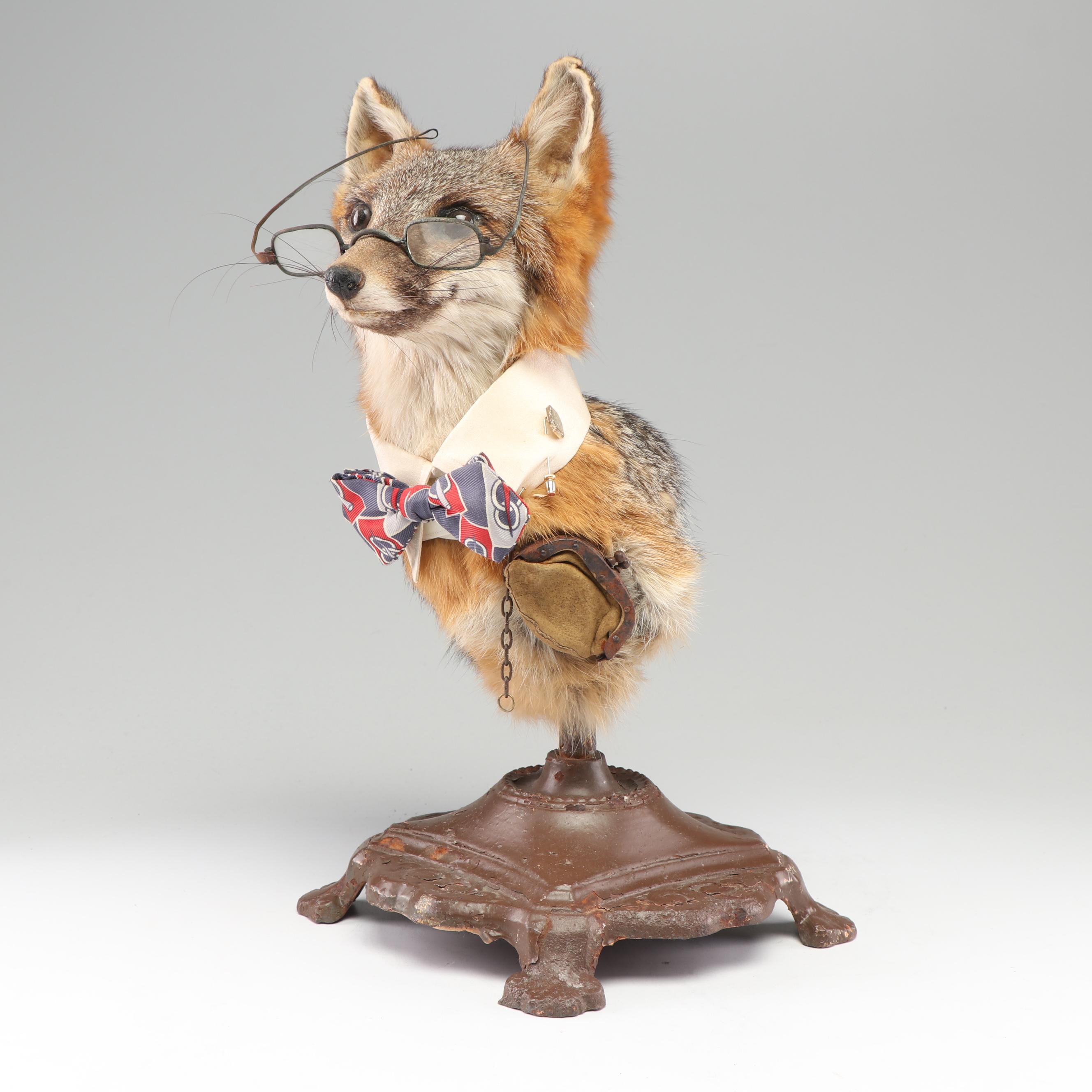 "A Gentleman Fox" Taxidermy Embellished Red Fox Mount | EBTH