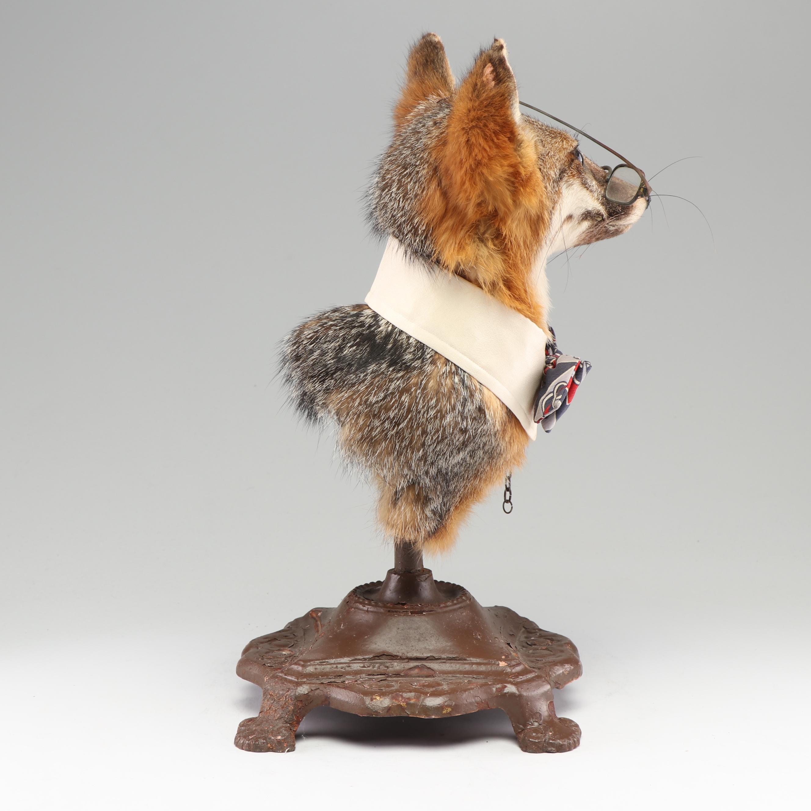 "A Gentleman Fox" Taxidermy Embellished Red Fox Mount | EBTH