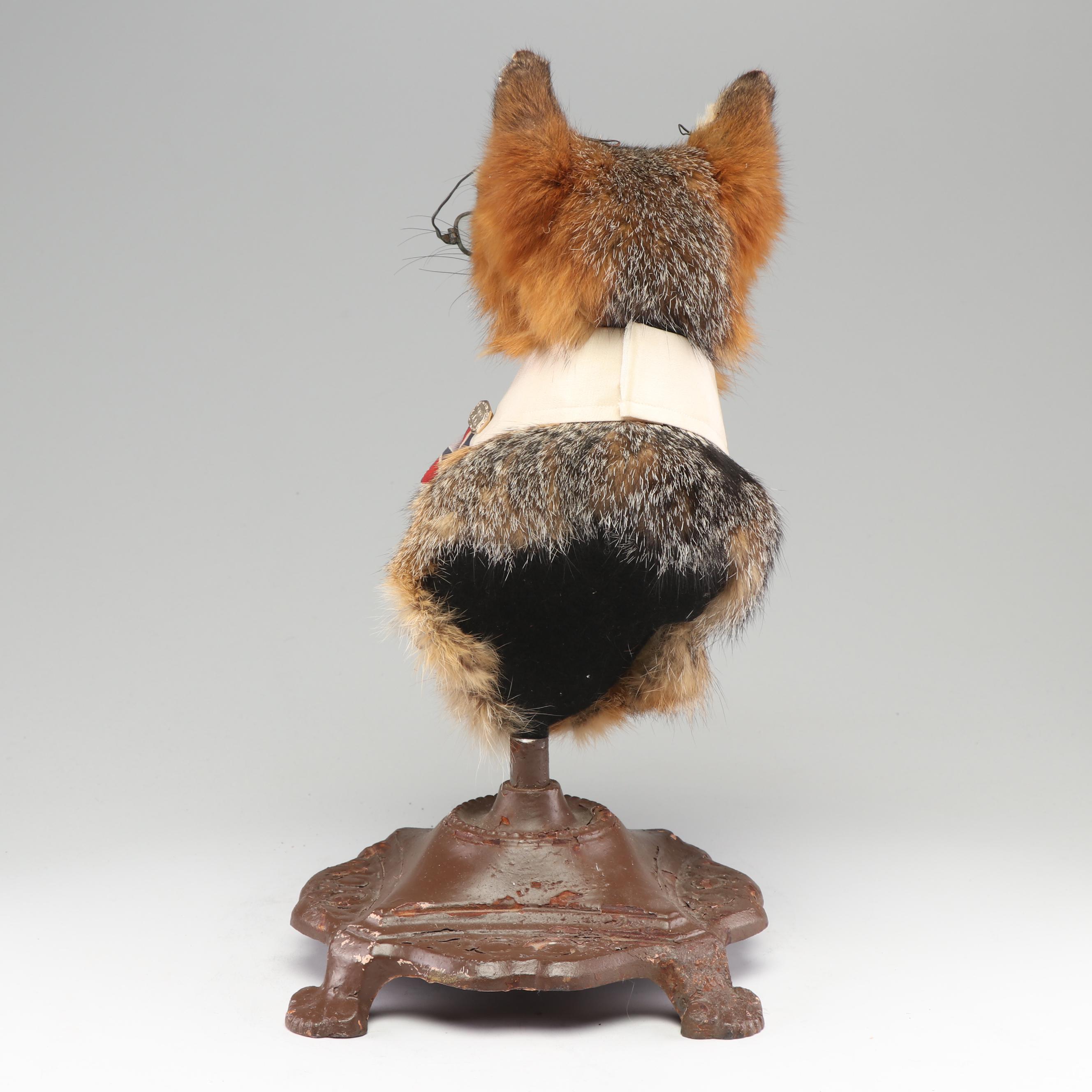 "A Gentleman Fox" Taxidermy Embellished Red Fox Mount | EBTH