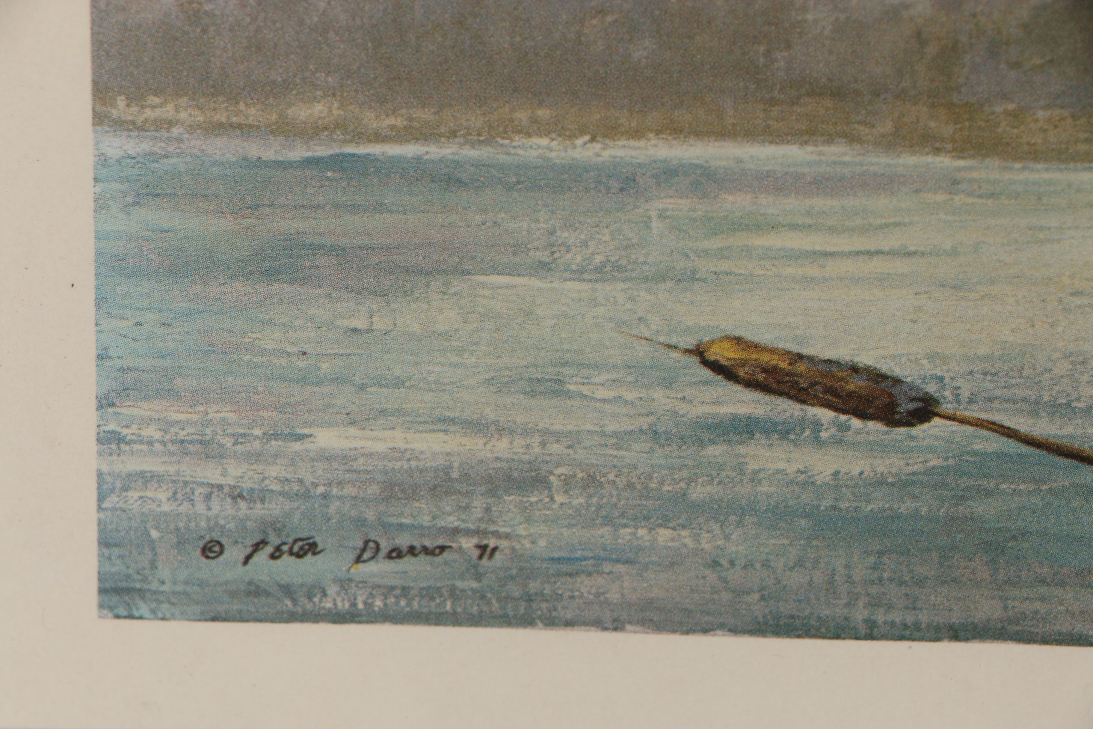 Peter Darro Offset Lithographs "Mallard" and "Wood Duck" | EBTH