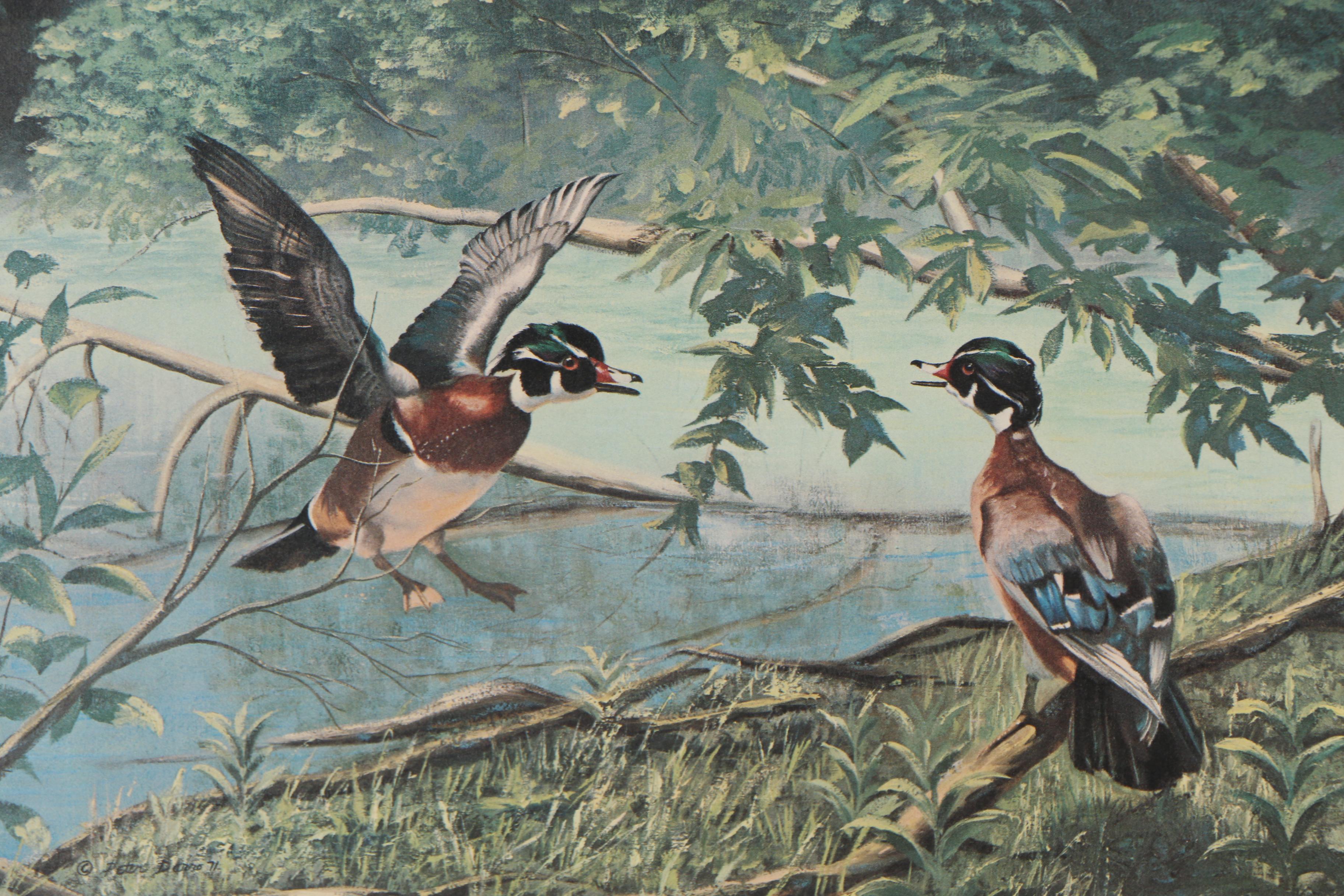 Peter Darro Offset Lithographs "Mallard" and "Wood Duck" | EBTH