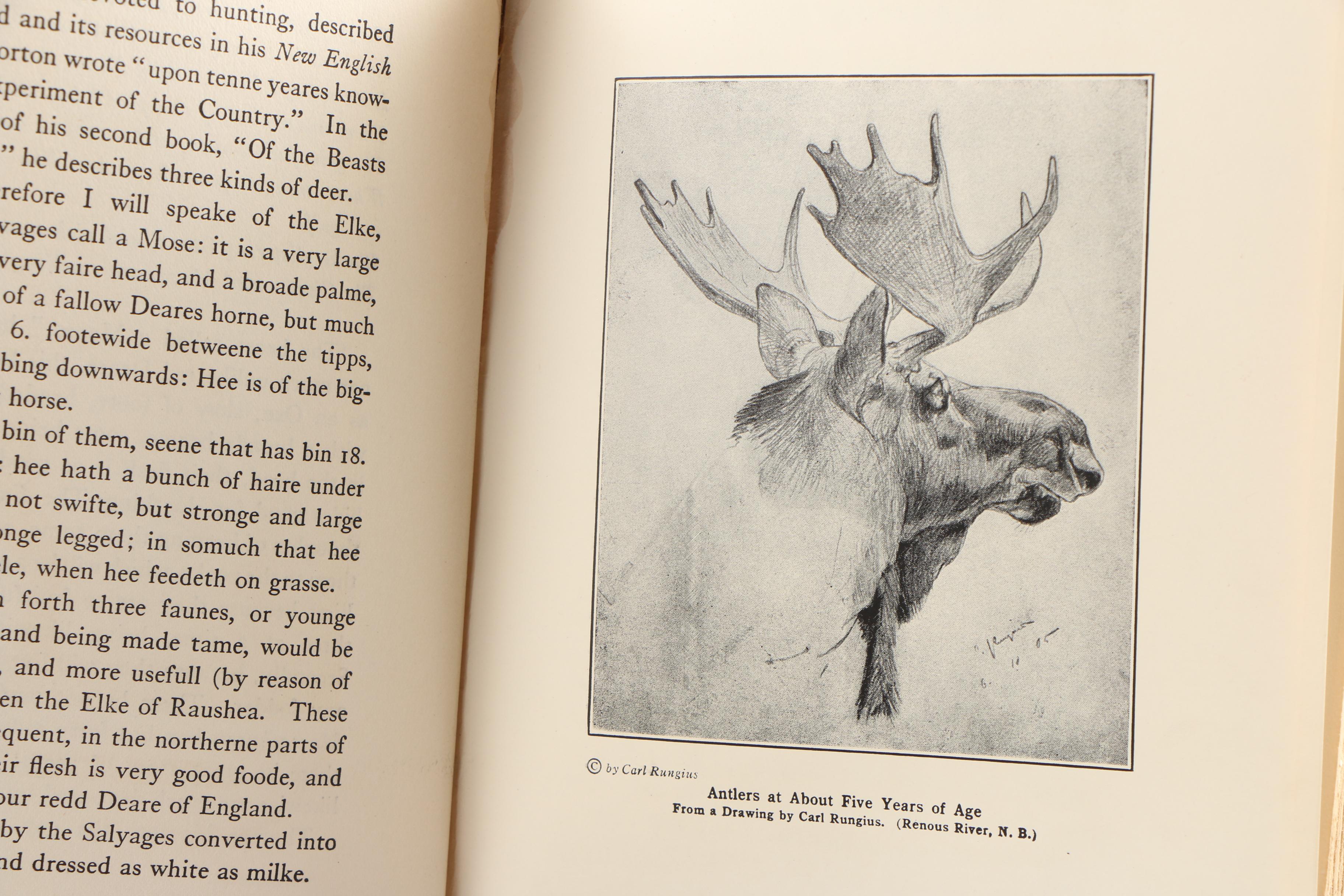 Books on Moose featuring 1920 "The Moose Book" by Samuel Merrill | EBTH