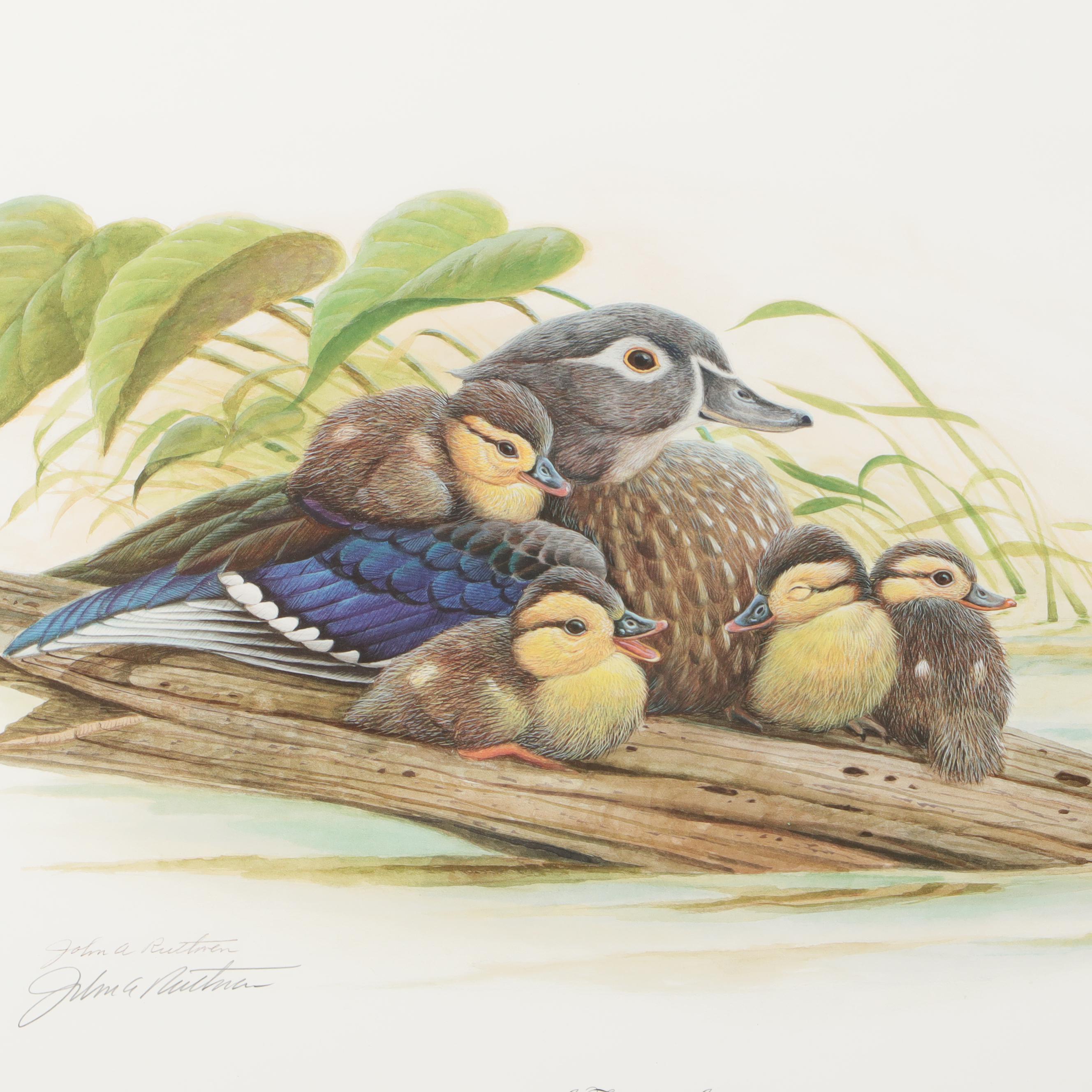 John Ruthven Limited Edition Offset Lithograph "A Family Affair" | EBTH