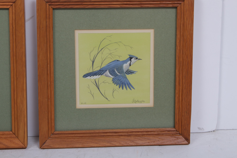 Joseph Q. Whipple Bird Gouache Paintings | EBTH