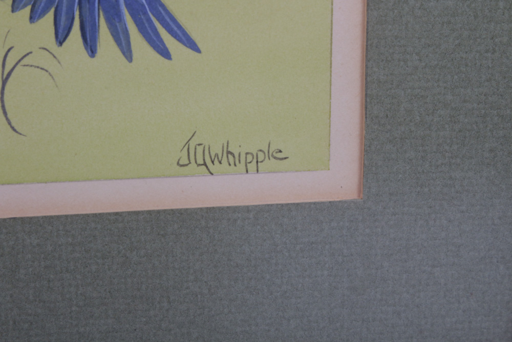 Joseph Q. Whipple Bird Gouache Paintings | EBTH