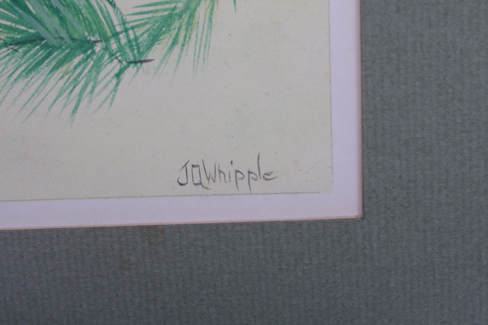 Joseph Q. Whipple Bird Gouache Paintings | EBTH