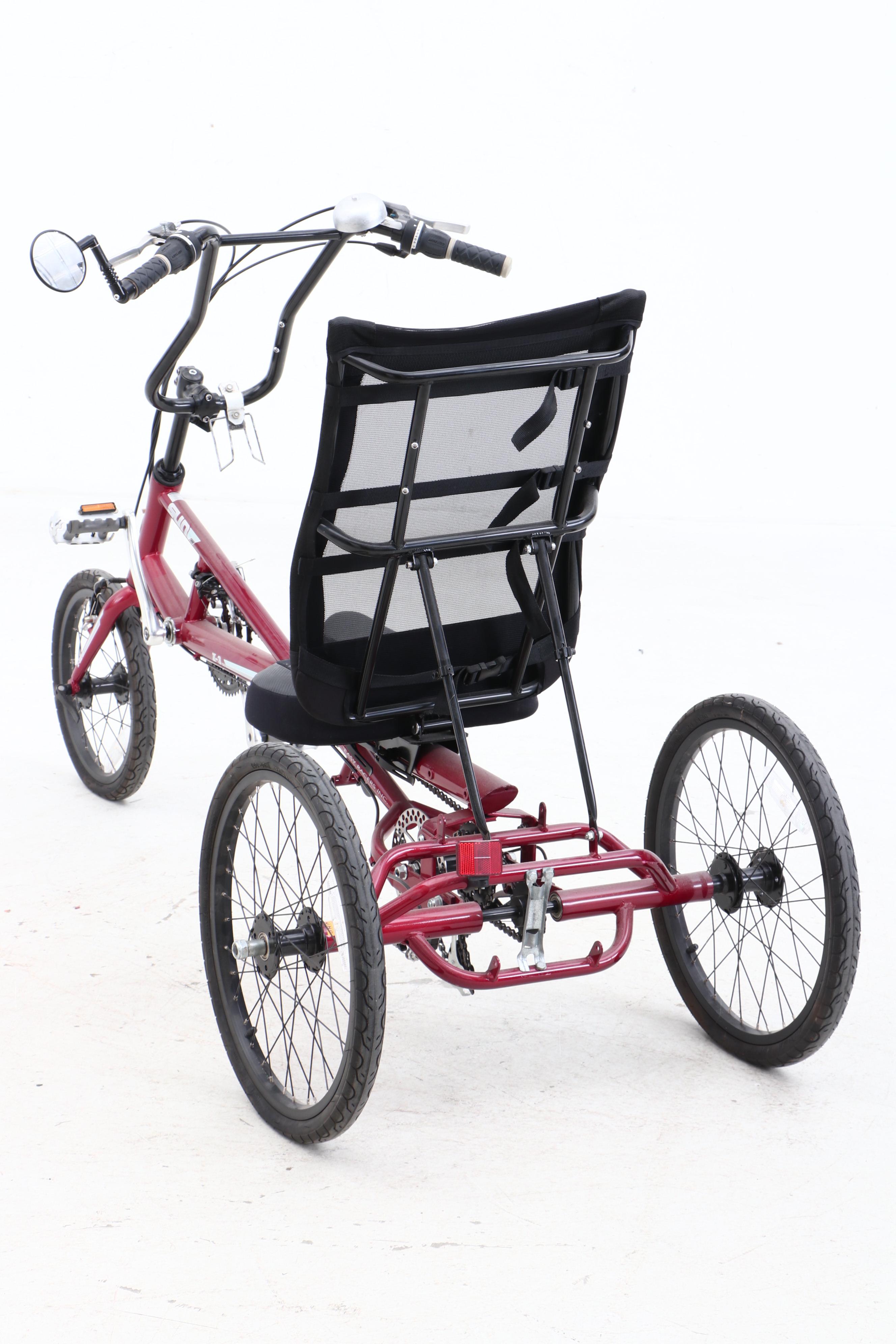 Easy Racers Speed Lite Recumbent Tricycle | EBTH