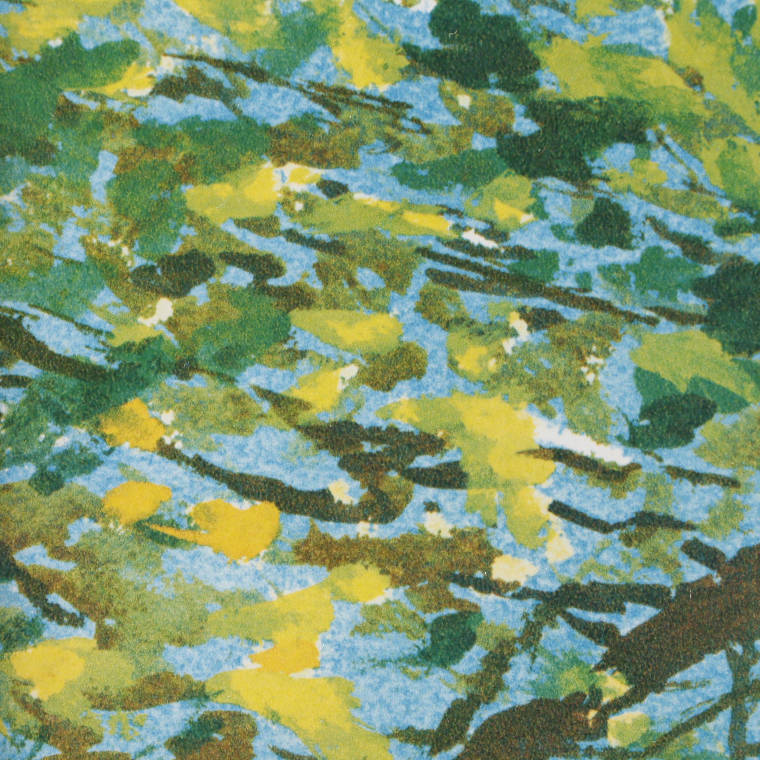 Photomechanical Print after Arthur Cady | EBTH