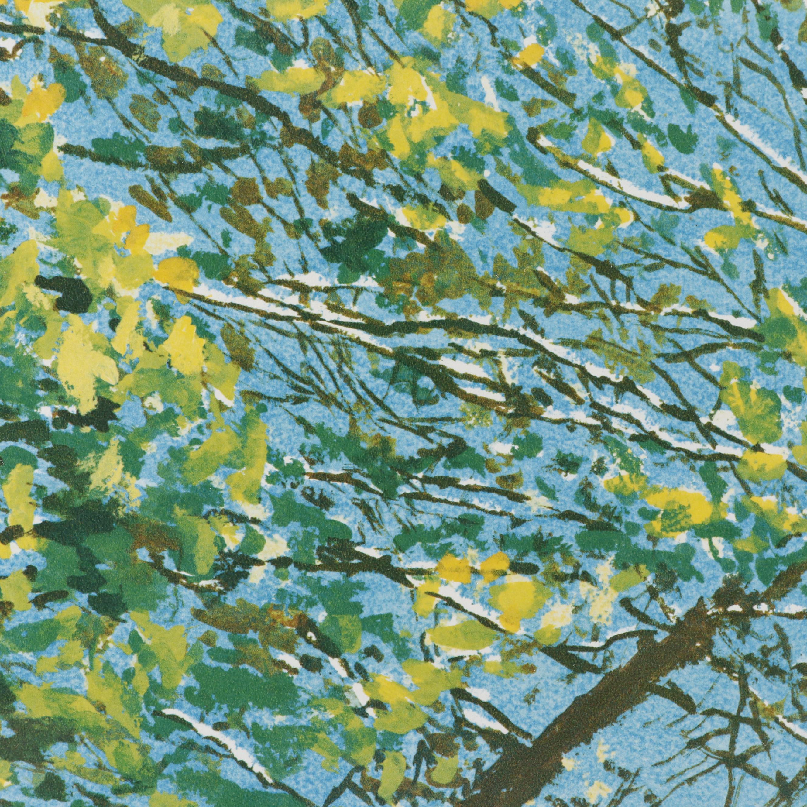 Photomechanical Print after Arthur Cady | EBTH