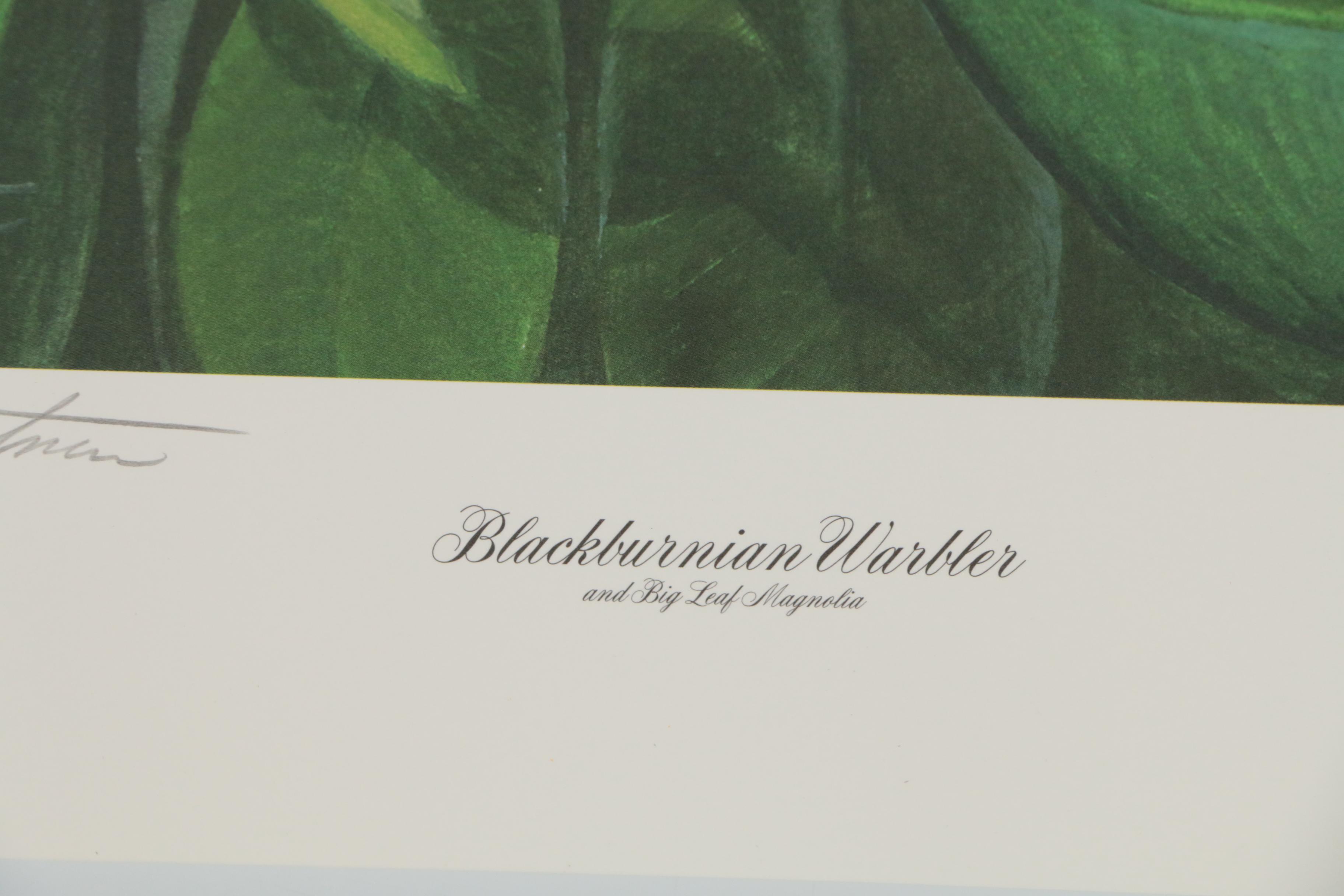 John Ruthven Offset Lithograph of Bird "Blackburnian Warbler" | EBTH