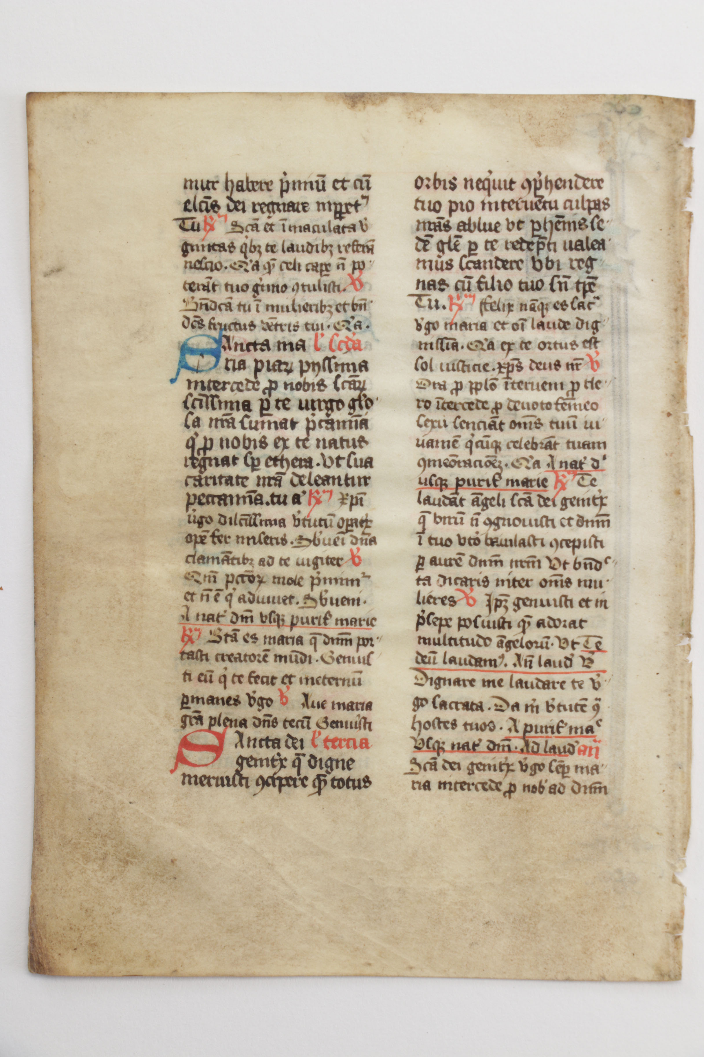 Mid 13th - Mid 14th Century Illuminated Leaves in Latin | EBTH