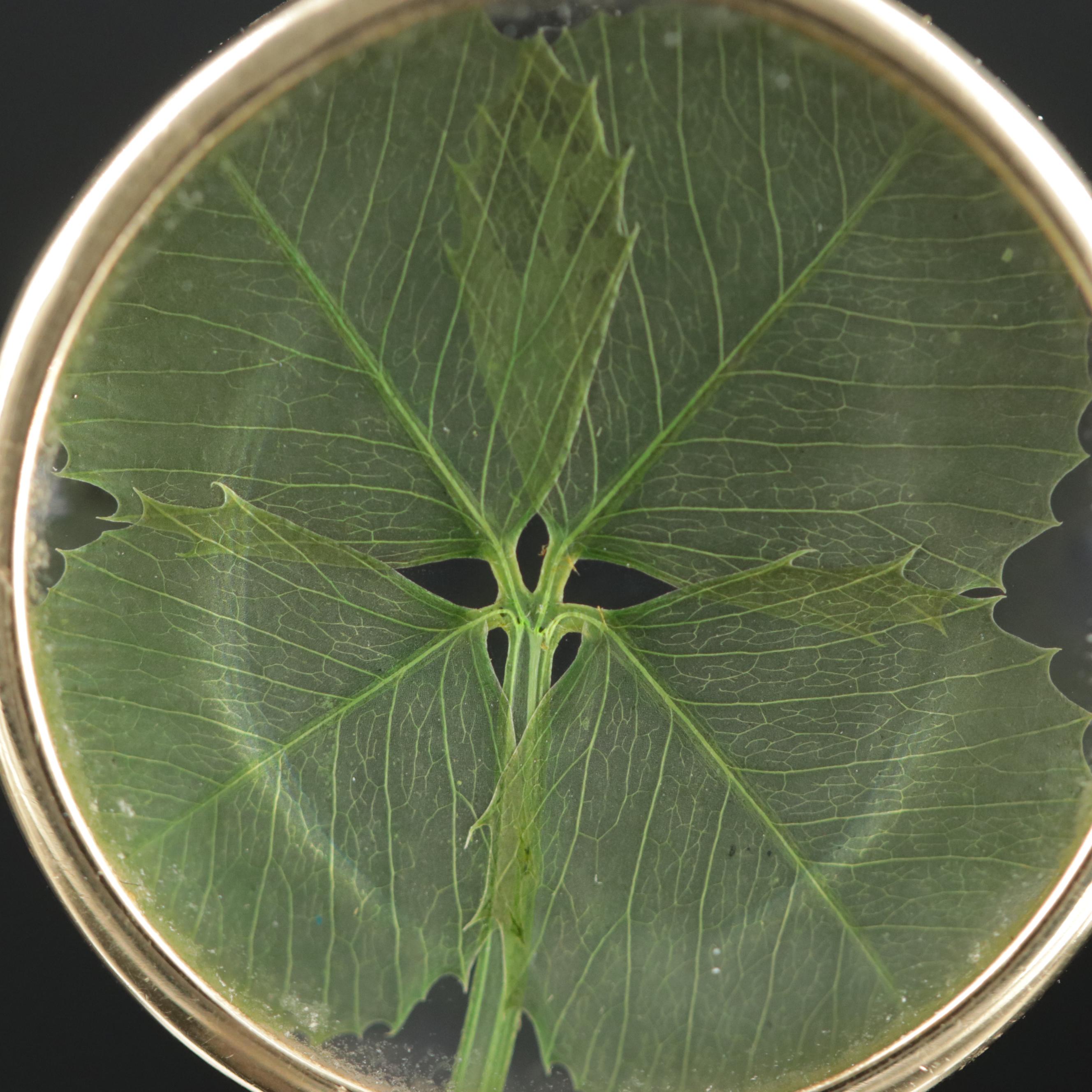 14K Yellow Gold Encased Four Leaf Clover Pendant | EBTH