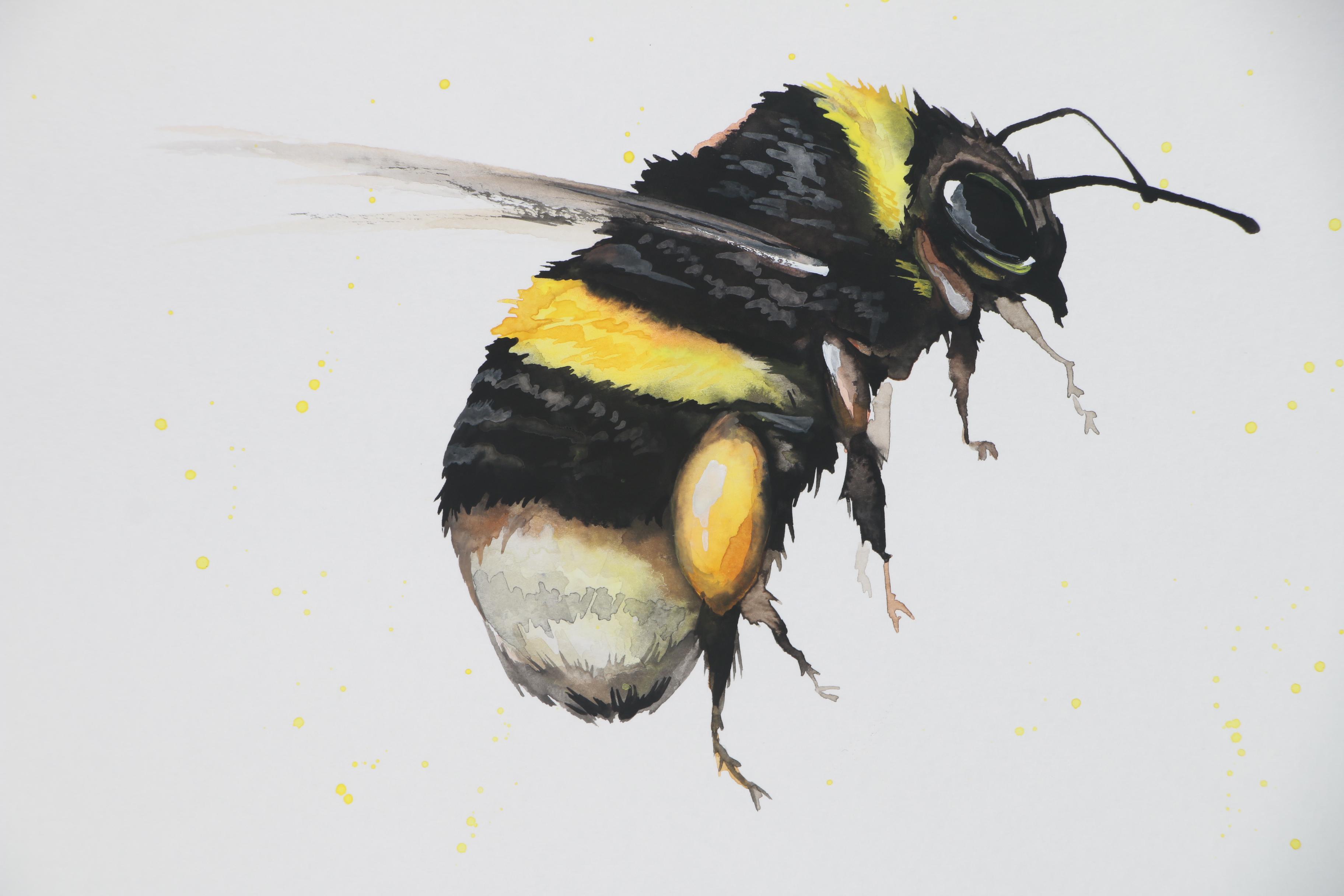 Anne Gorywine Watercolor Painting of Bumblebee | EBTH