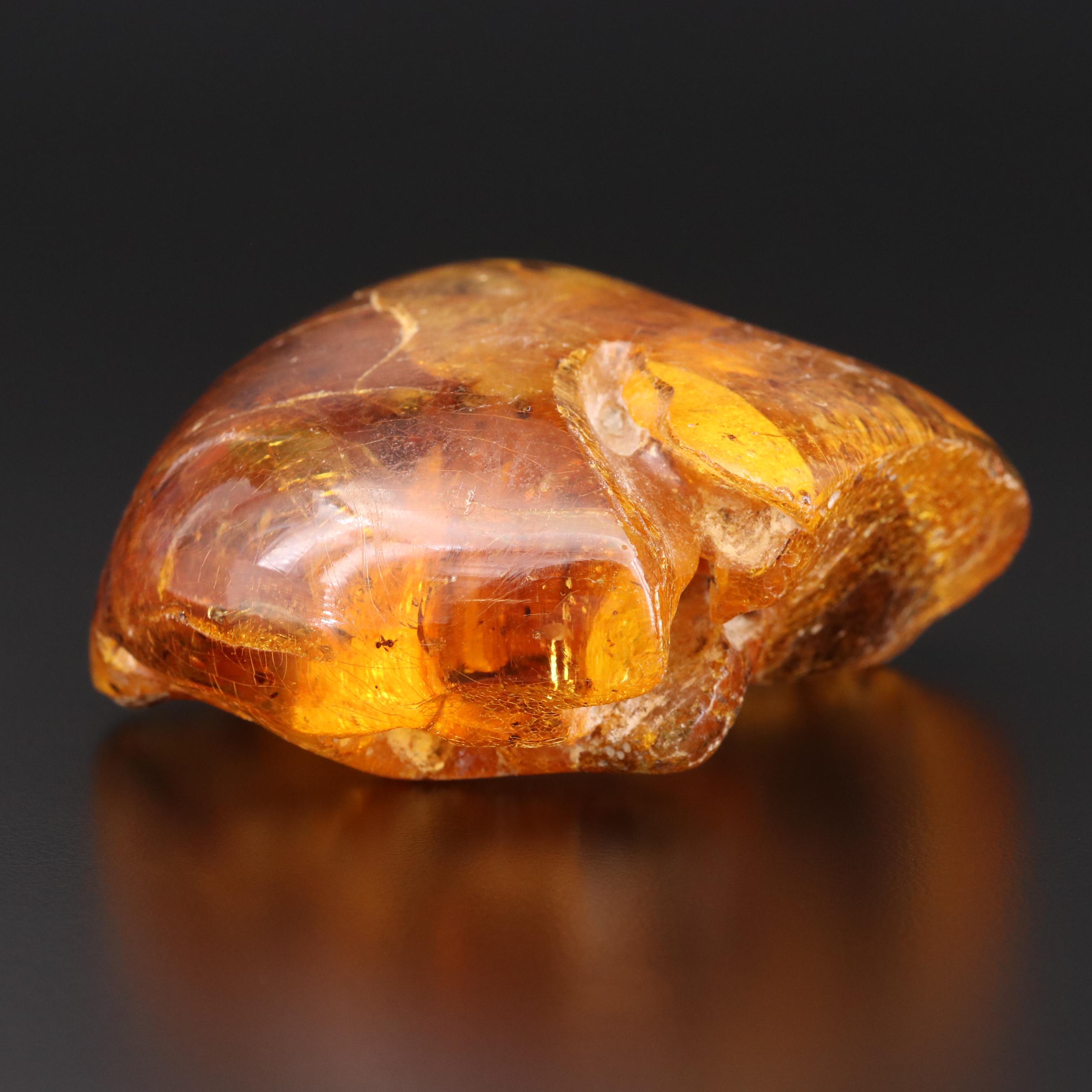 Loose 593.72 CT Copal Gemstone | EBTH