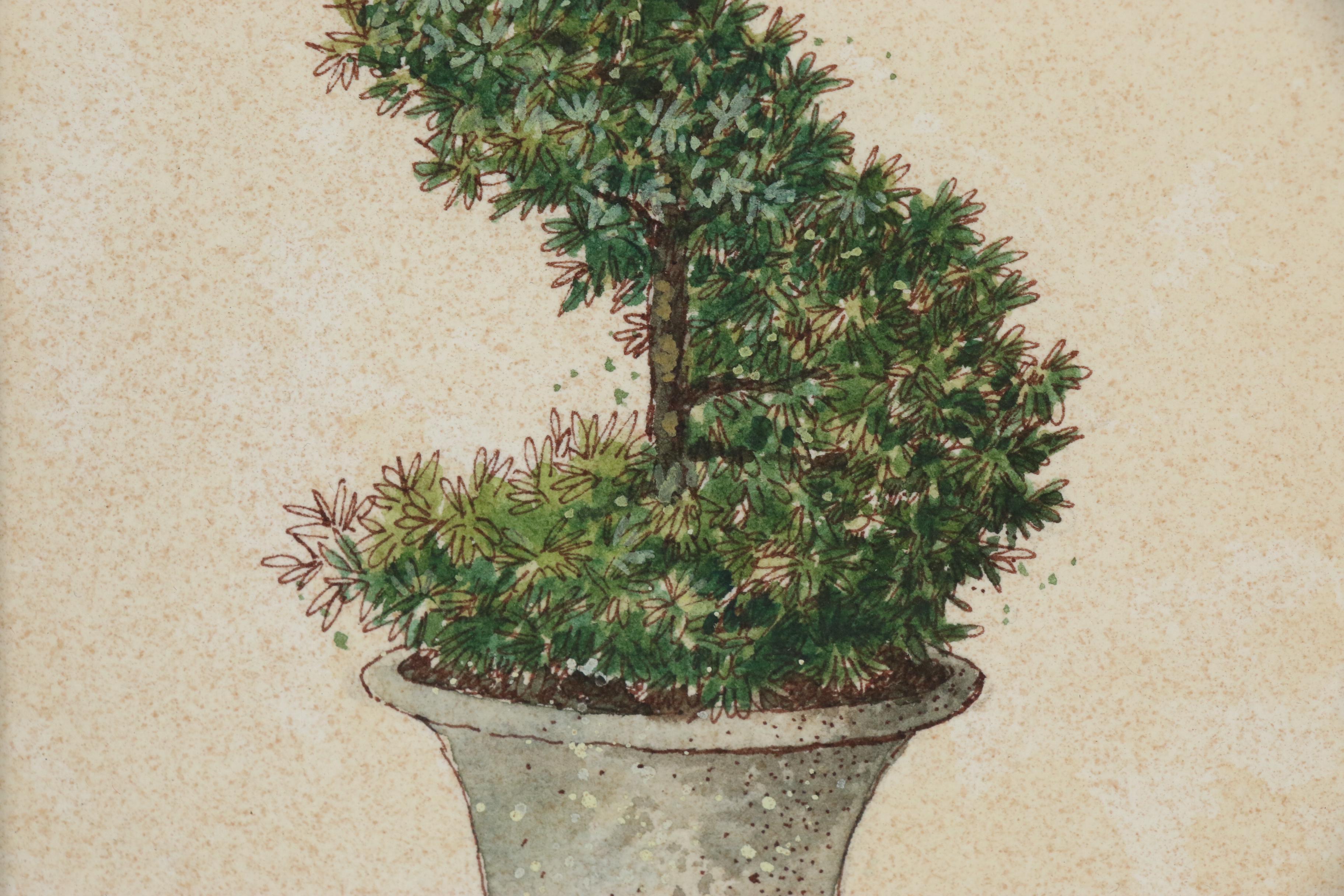 Pen & Ink Drawing of Topiary Shrub with Gouache and Watercolor | EBTH