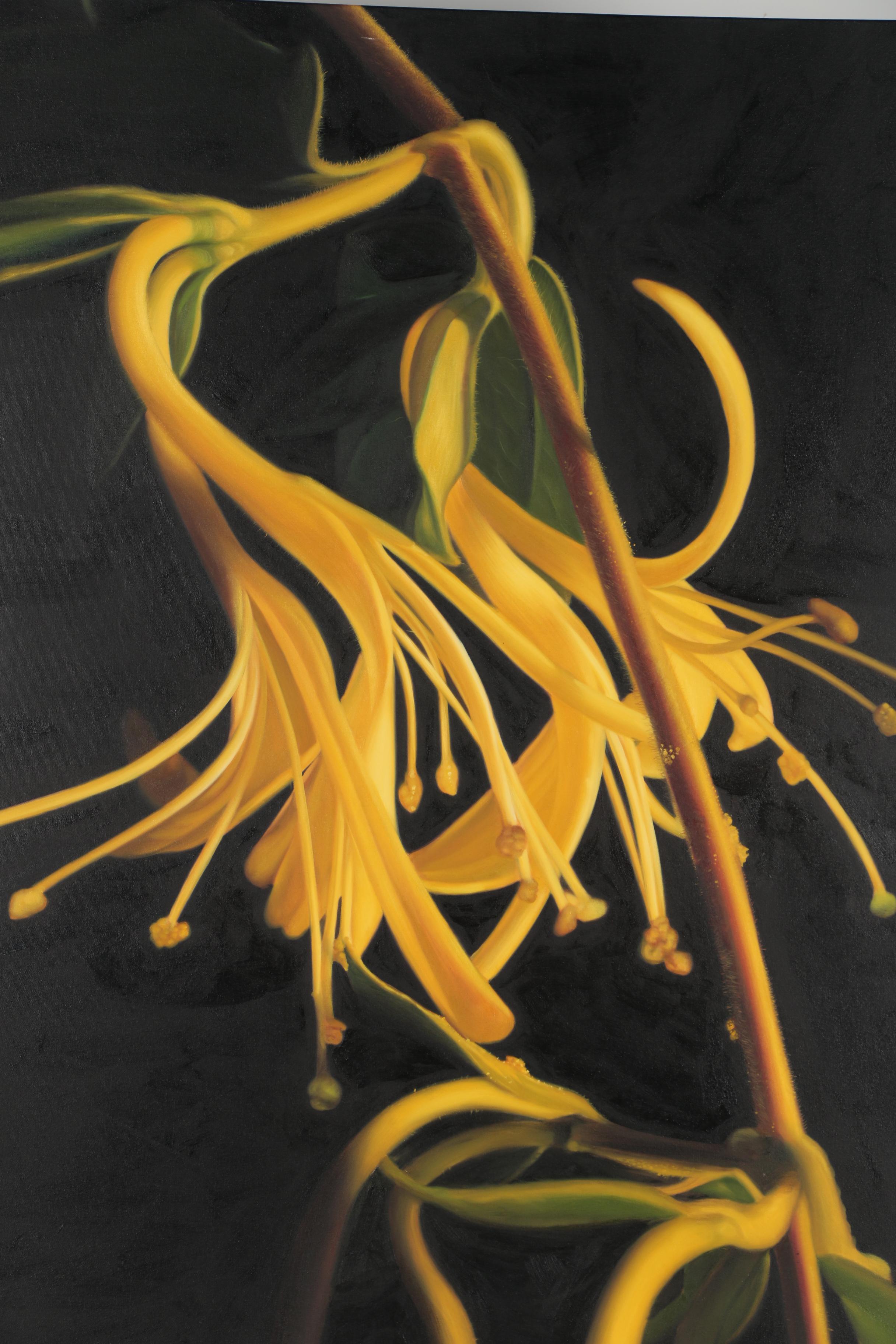 Andrew Stalder Monumental Photorealist Floral Oil Painting | EBTH
