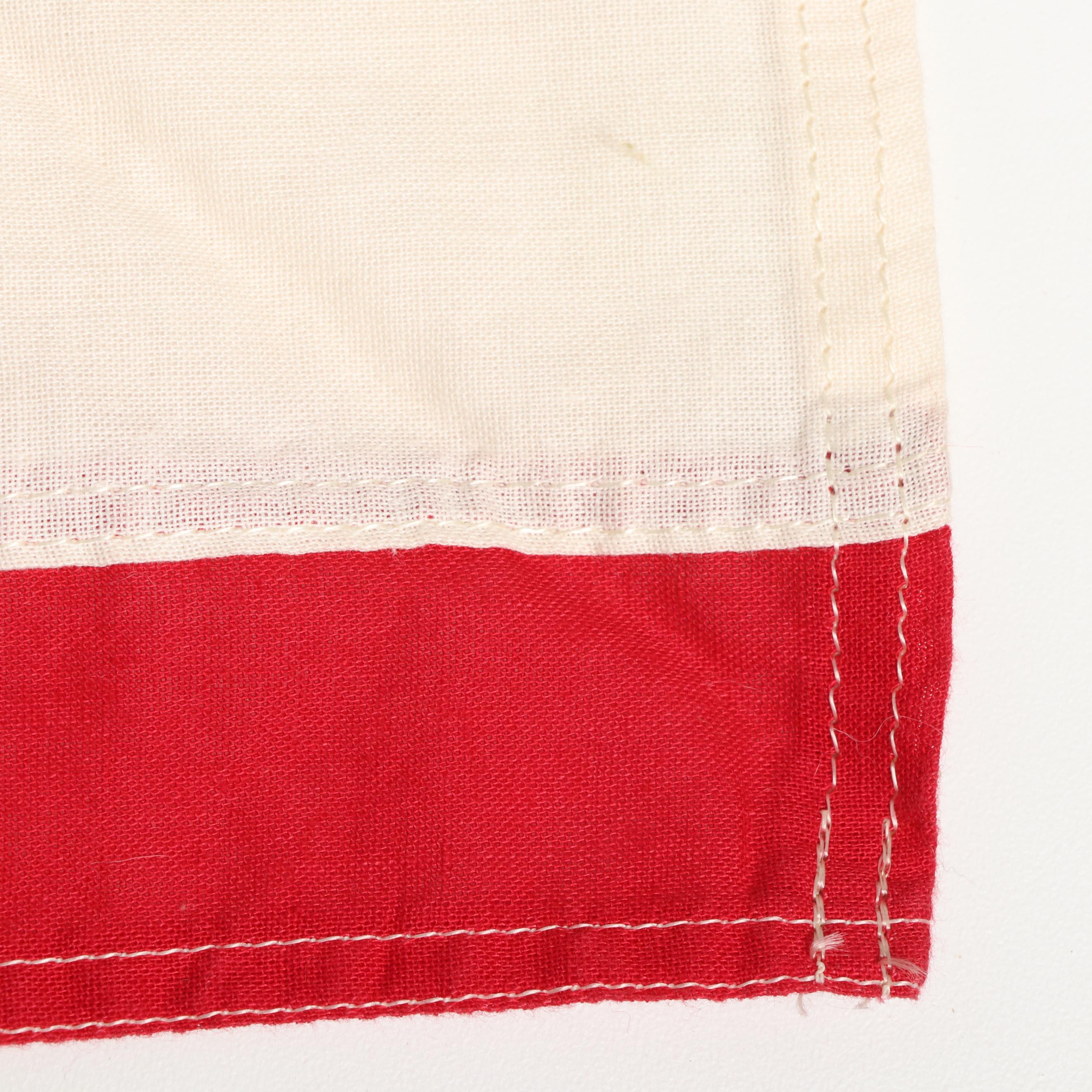 United States of America Fifty Star Flag | EBTH