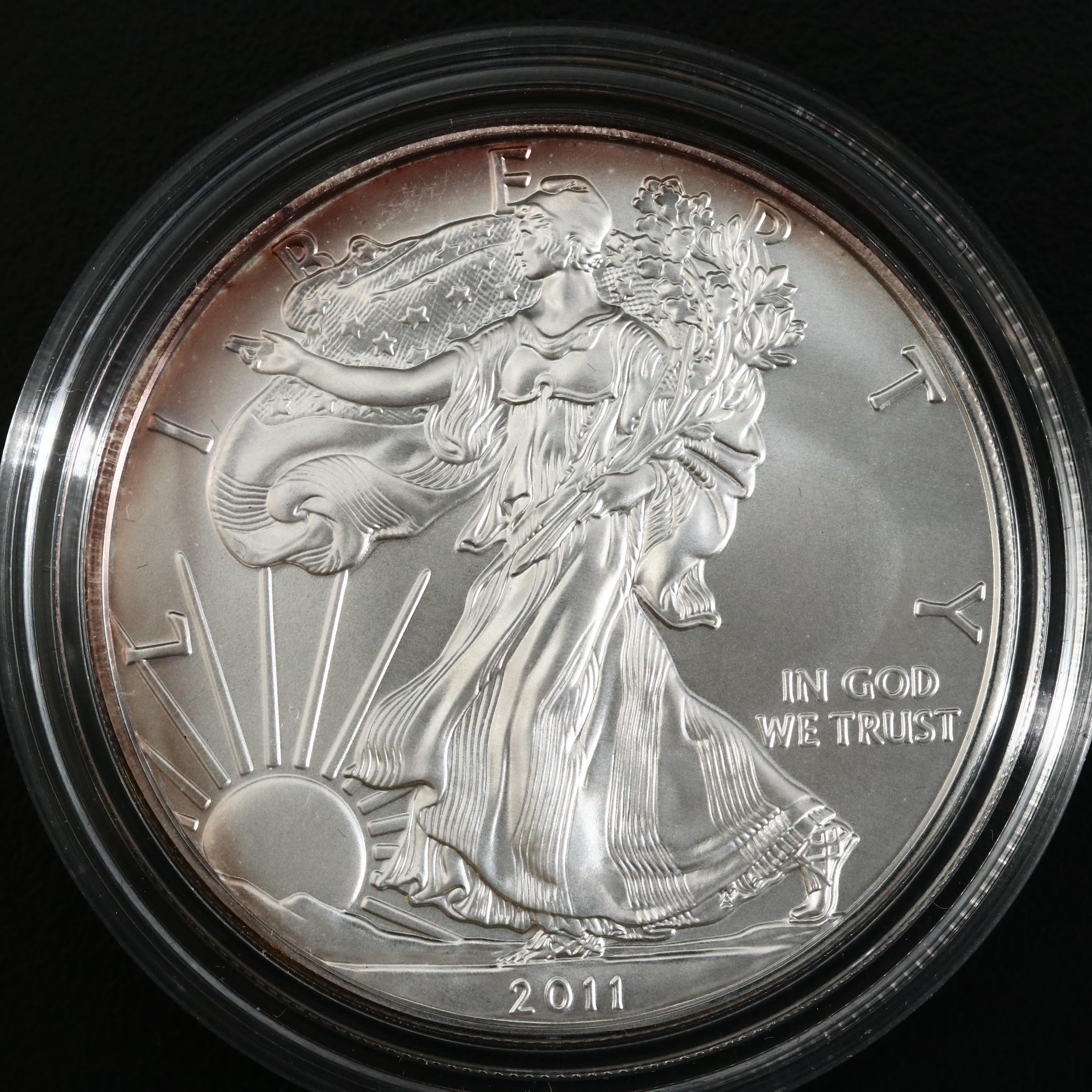 2011 U.S. Mint American Eagle 25th Anniversary Silver Five-Coin Set | EBTH