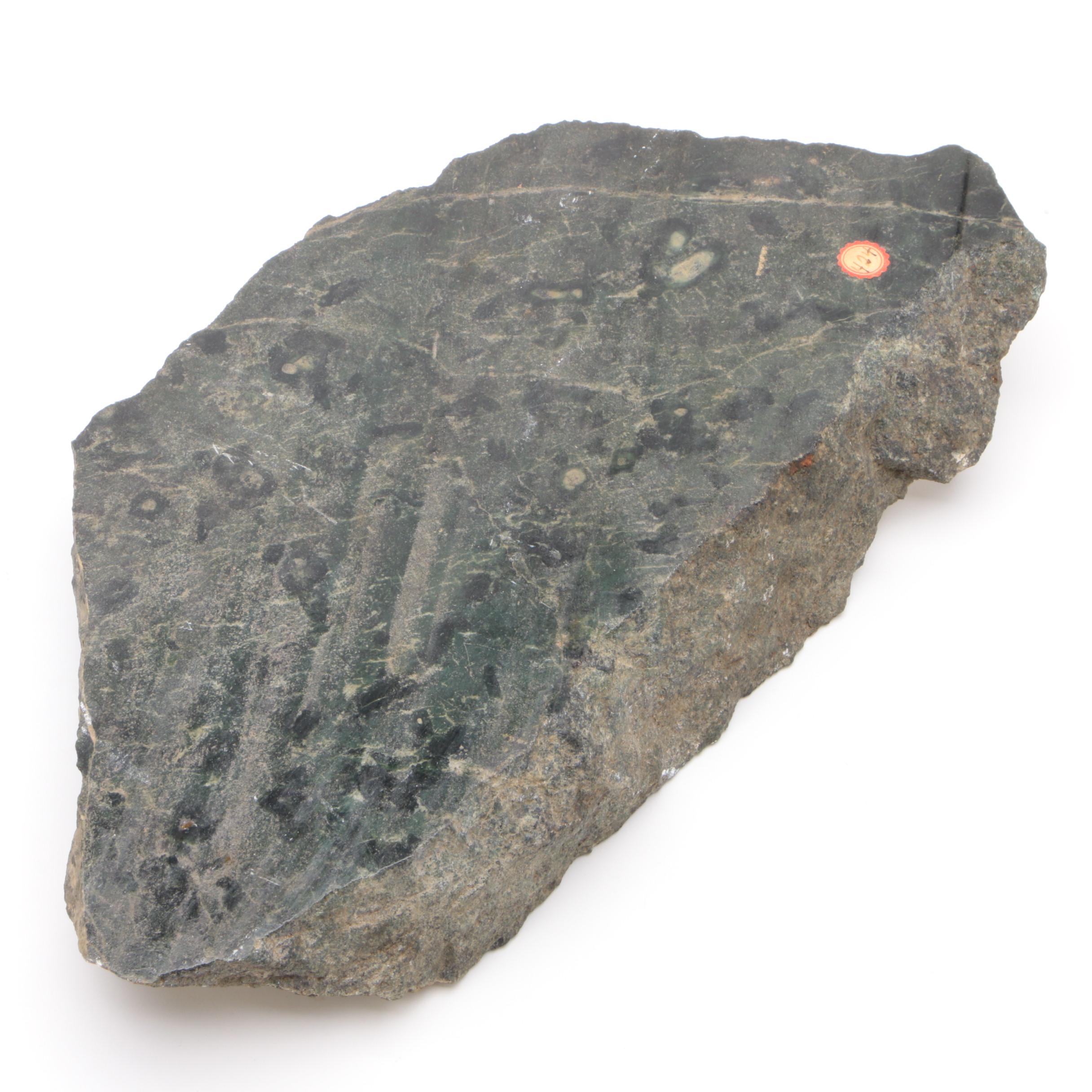 Phyllite Rock Sample with Mineral Inclusions | EBTH