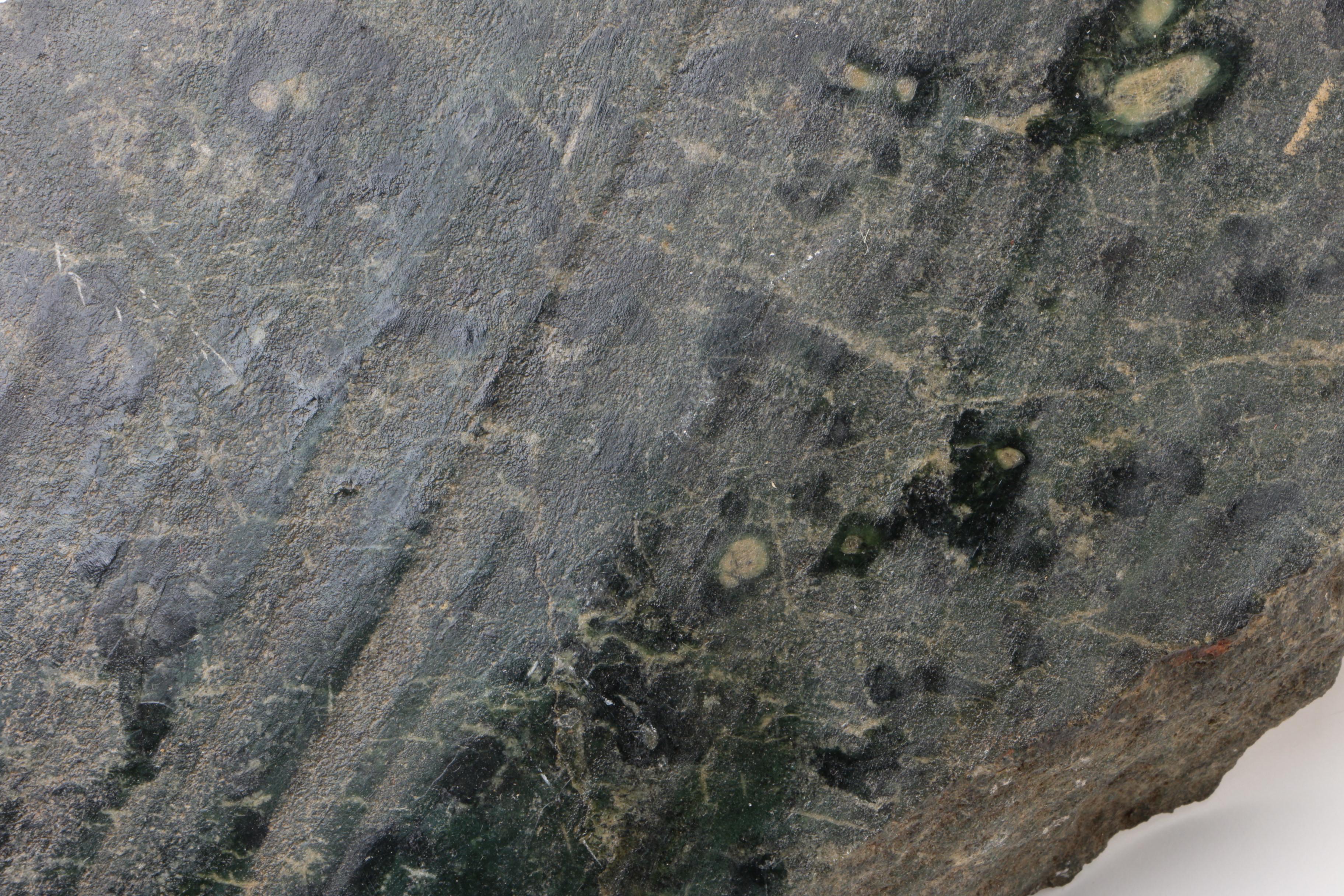 Phyllite Rock Sample with Mineral Inclusions | EBTH