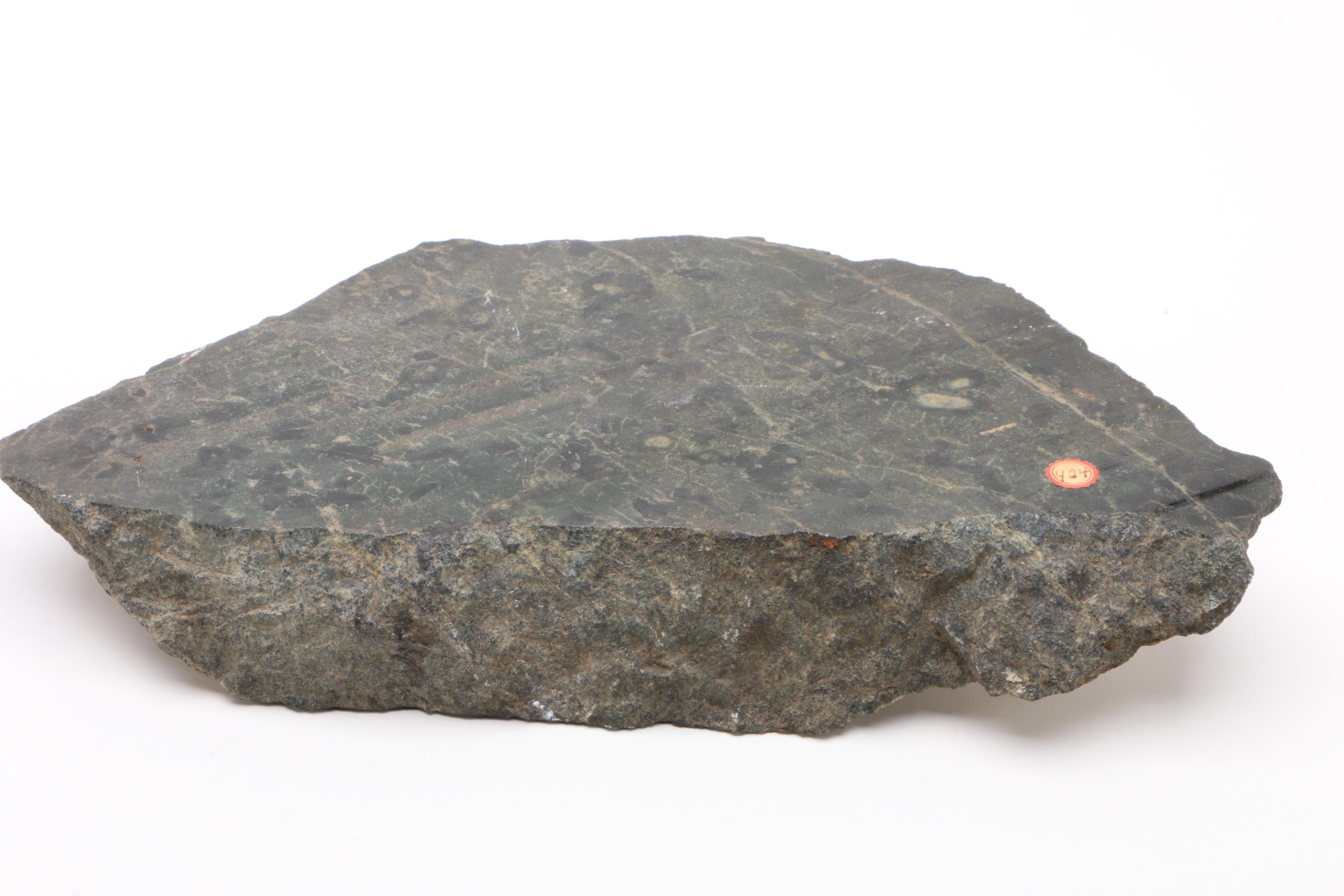 Phyllite Rock Sample with Mineral Inclusions | EBTH