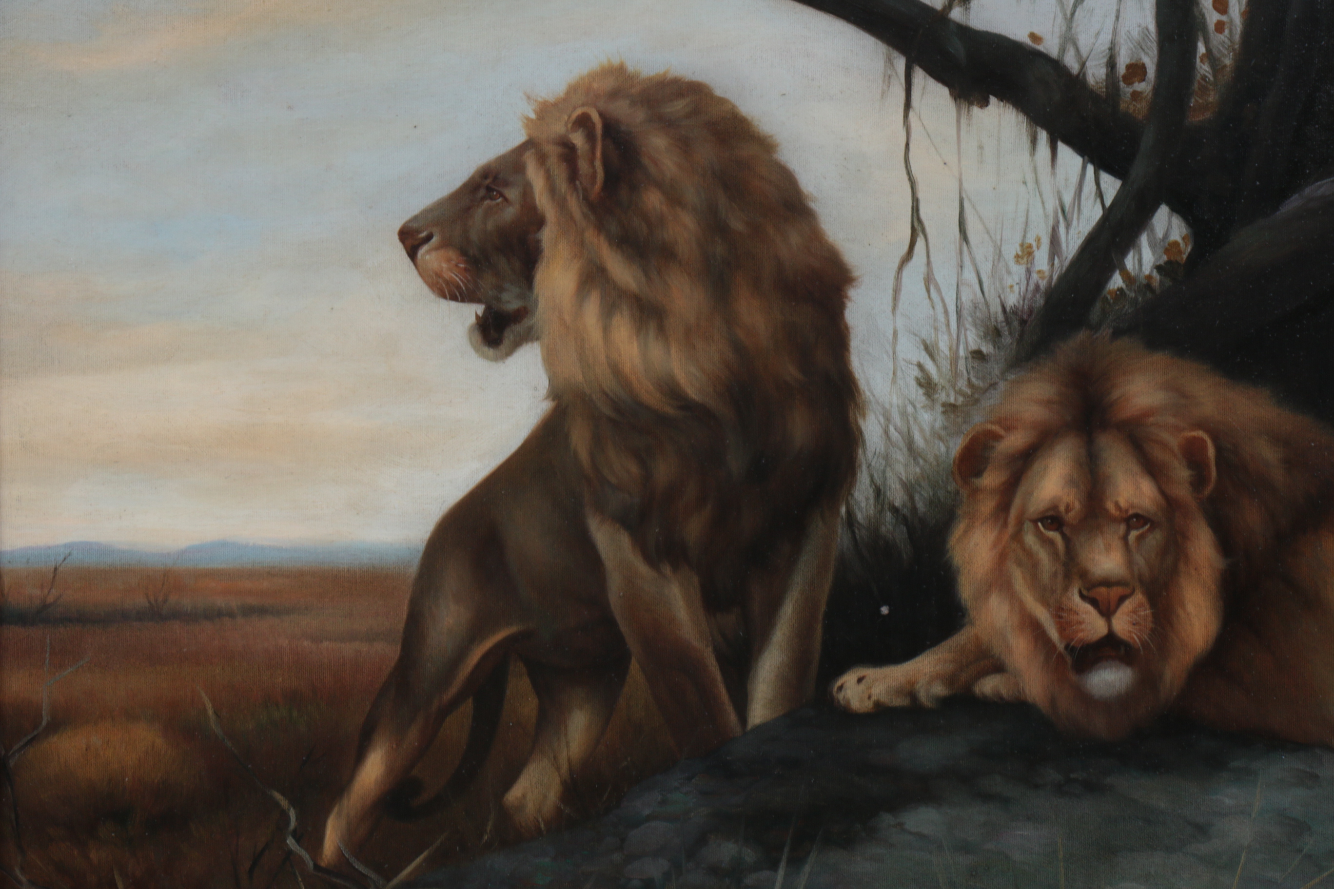 Jim Huff Oil Painting of Lions, Late 20th Century | EBTH