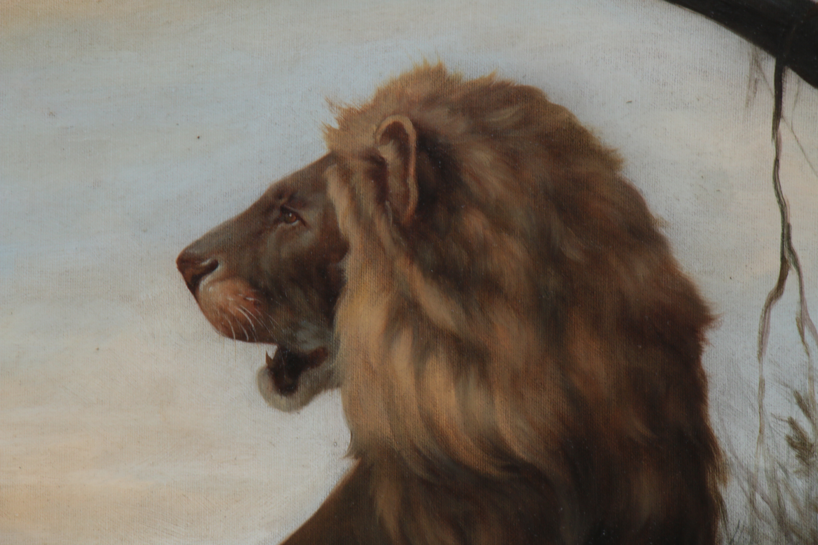Jim Huff Oil Painting of Lions, Late 20th Century | EBTH
