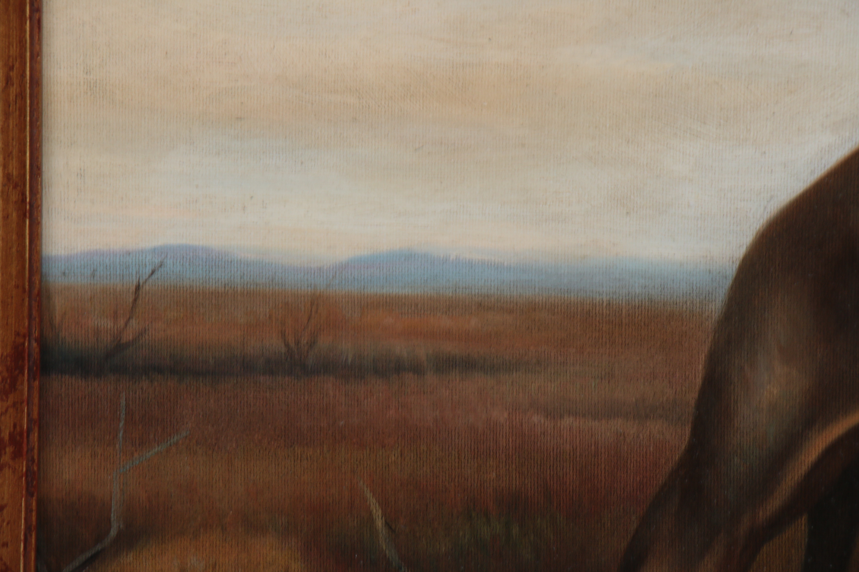 Jim Huff Oil Painting of Lions, Late 20th Century | EBTH