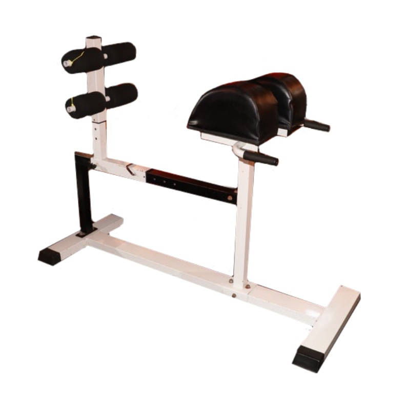 Back Extension Exercise Machine | EBTH