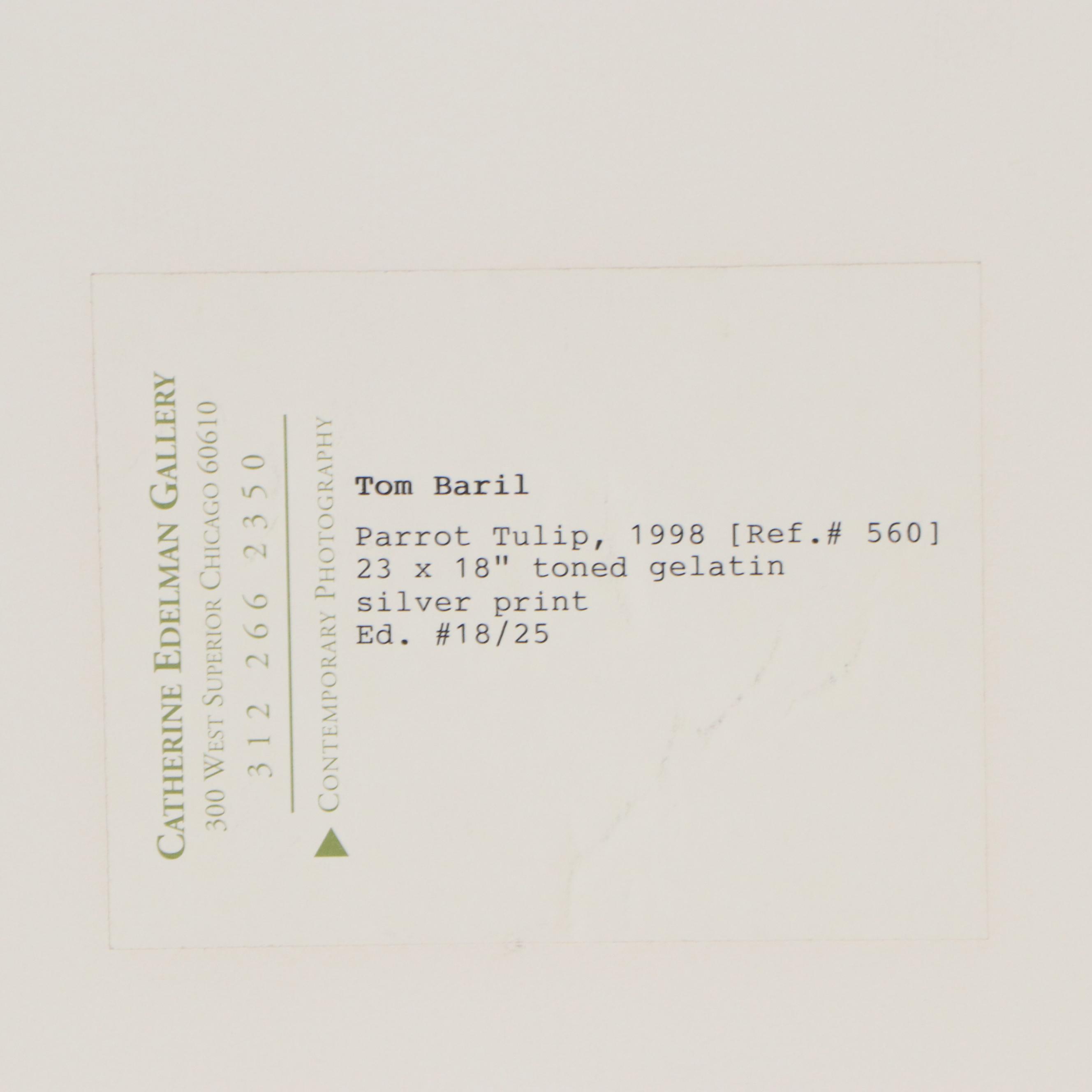 Tom Baril Silver Gelatin Photograph "Parrot Tulip", 1998 | EBTH