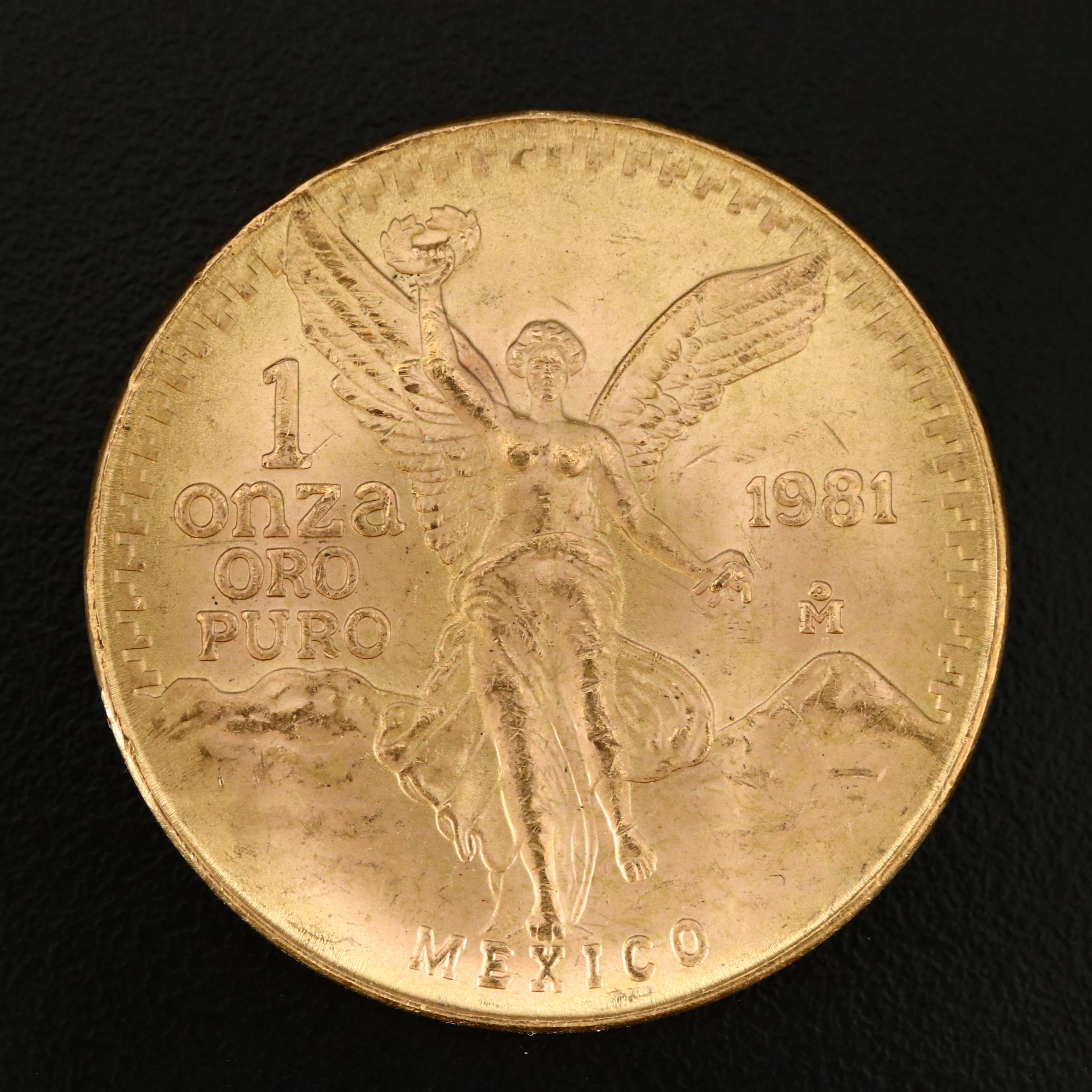 1981 Mexican Gold Libertad 1-Oz. Bullion Coin | EBTH