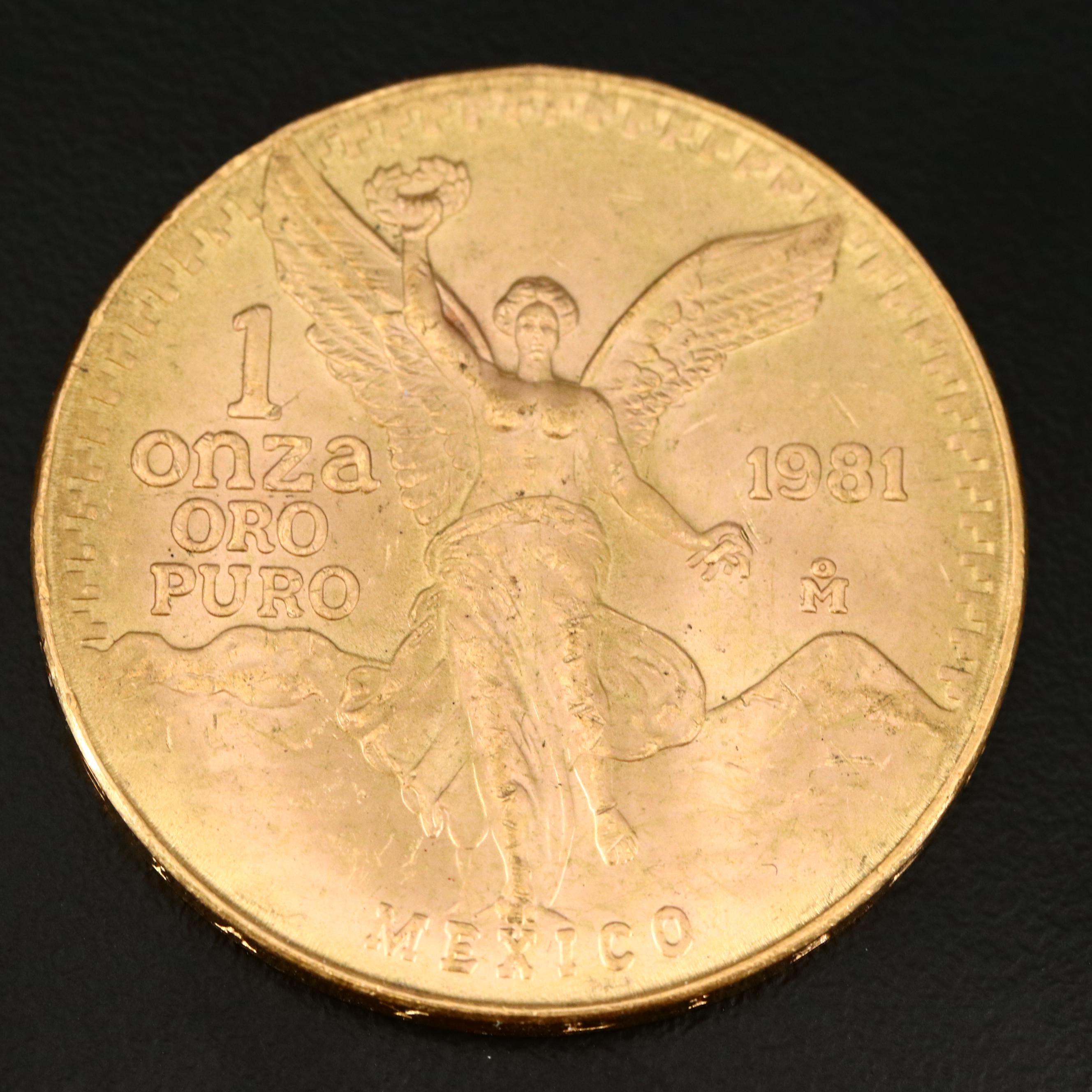 1981 Mexican Gold Libertad 1-Oz. Bullion Coin | EBTH