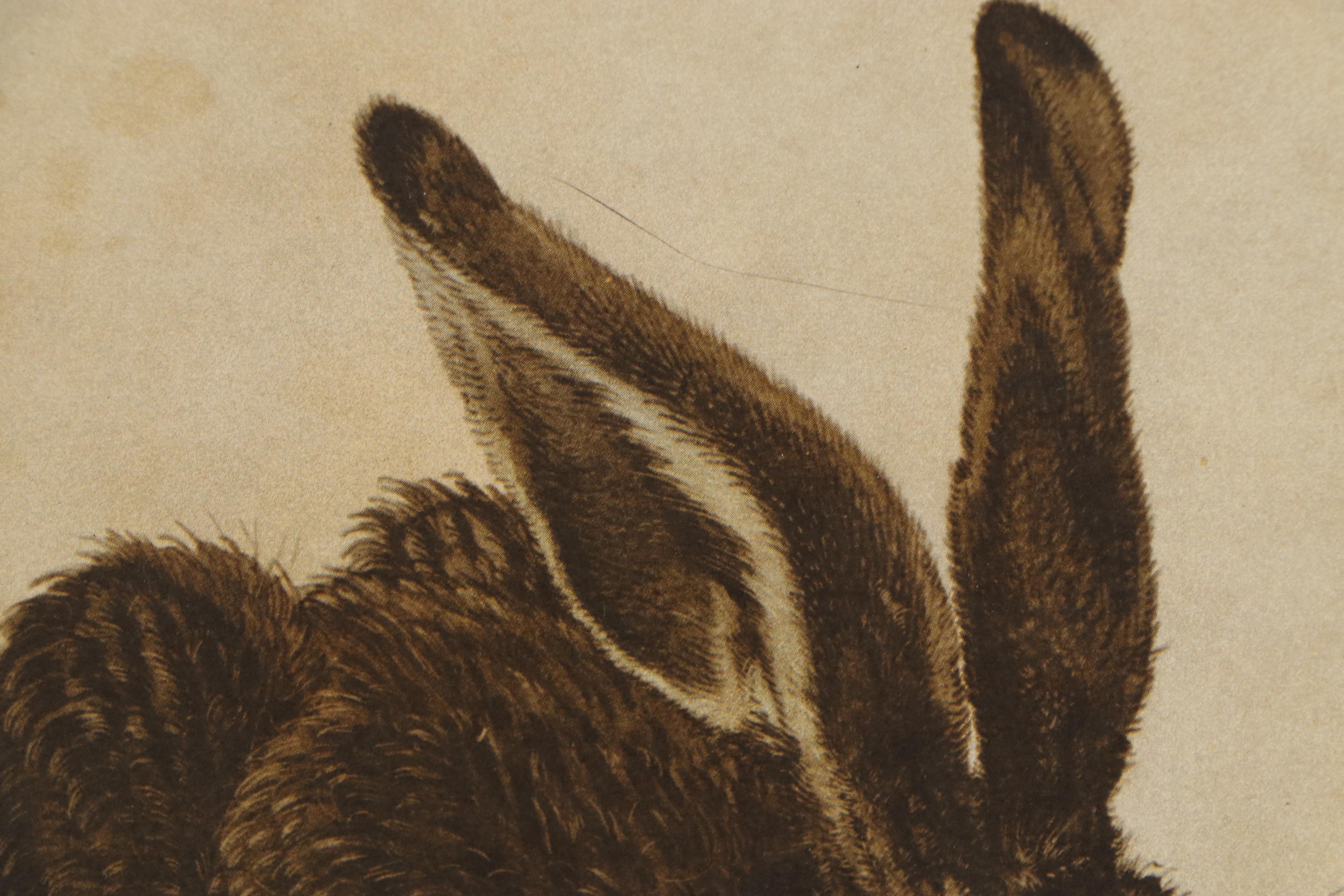 Offset Lithograph after Albrecht Dürer "Young Hare," Late 20th Century ...