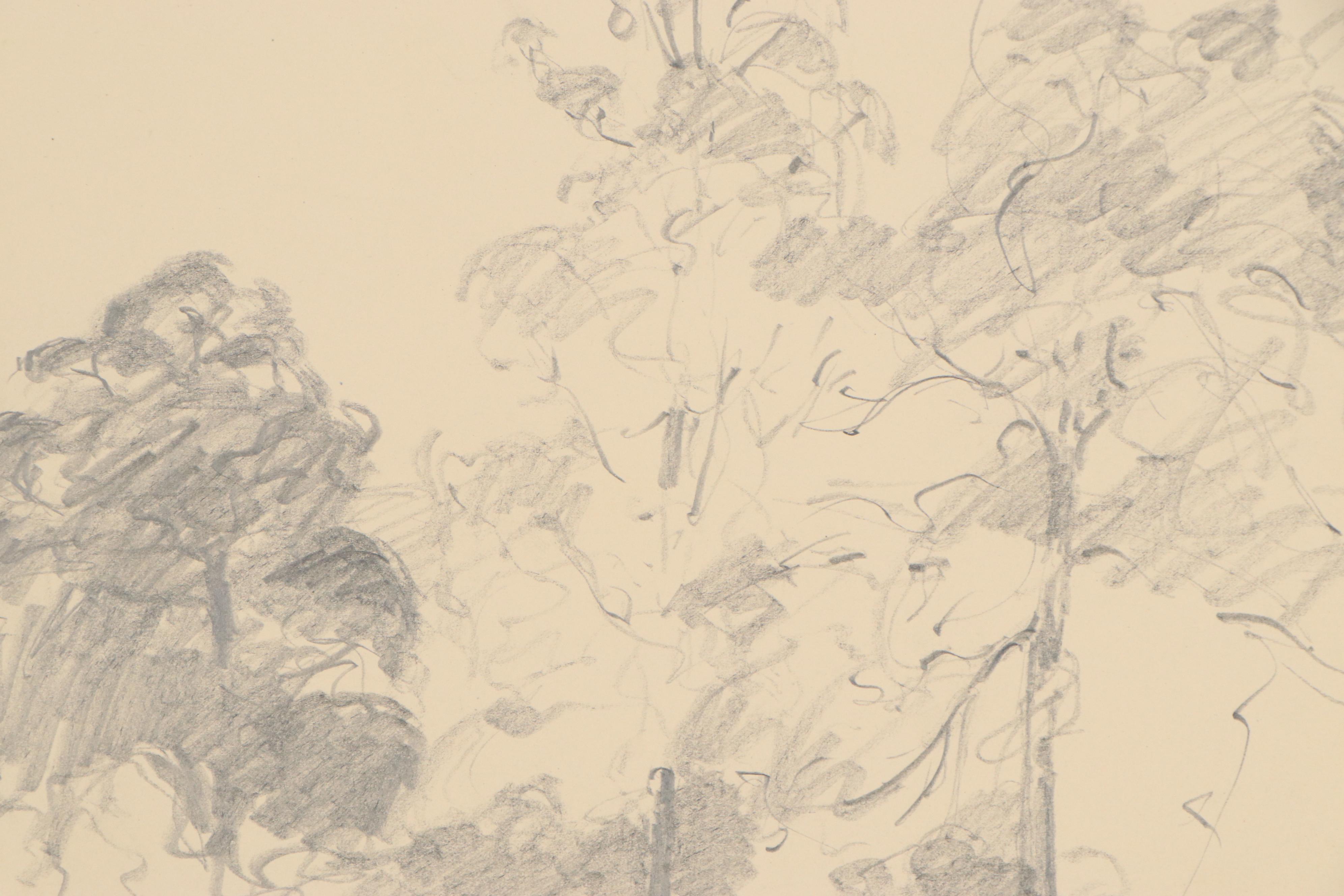 Robert Whitmore Graphite Drawings of Landscapes and Building Facades | EBTH