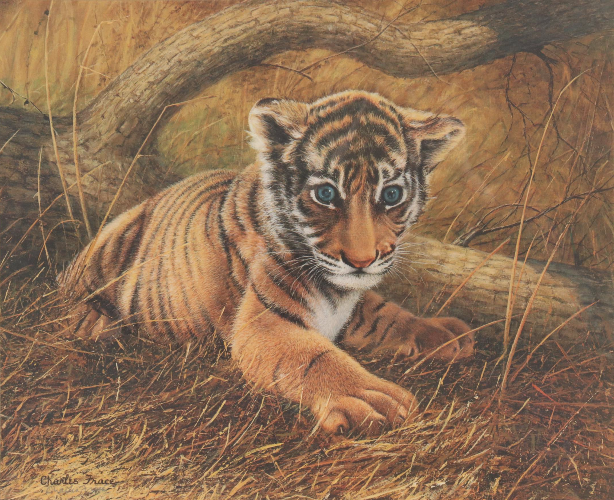 Charles Fracé Offset Lithograph "Tiger Cub" | EBTH