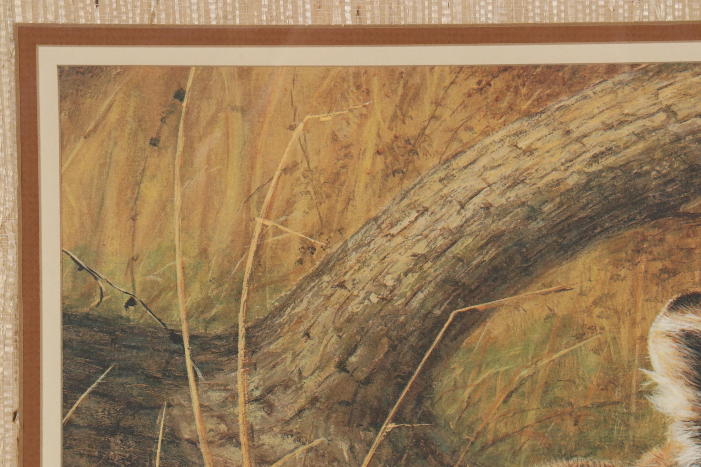 Charles Fracé Offset Lithograph "Tiger Cub" | EBTH