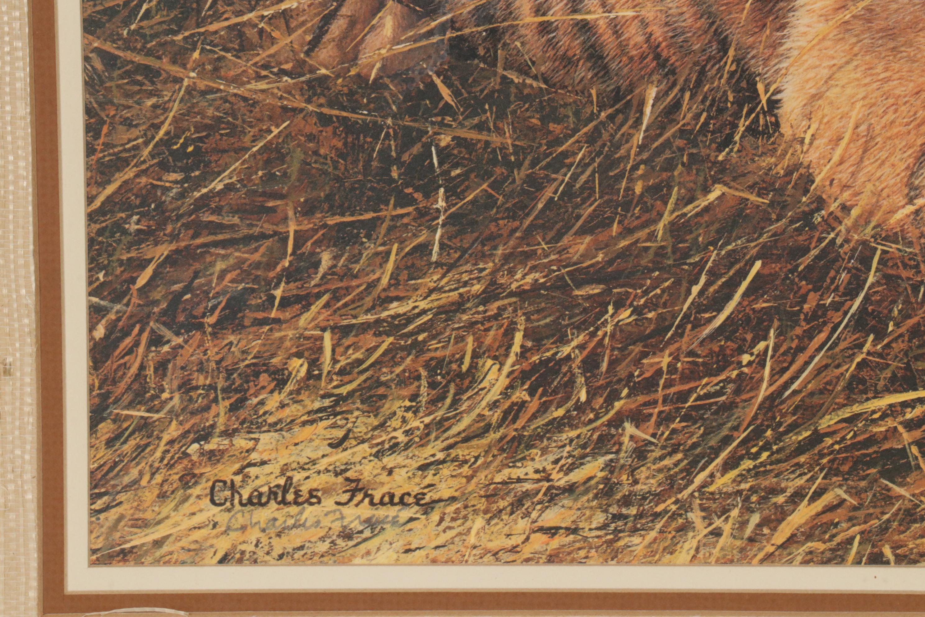 Charles Fracé Offset Lithograph "Tiger Cub" | EBTH