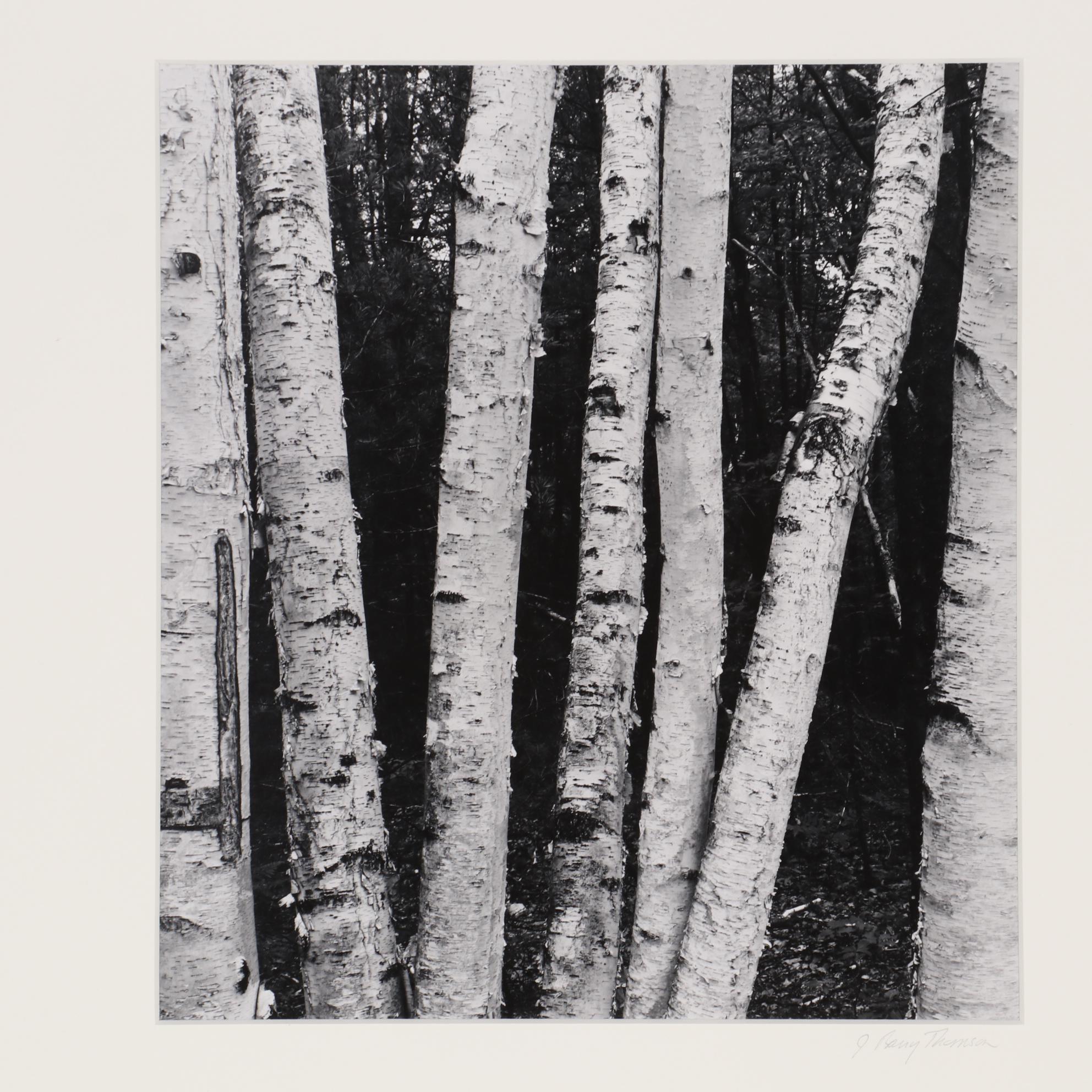J. Barry Thomson Silver Gelatin Photograph of Trees | EBTH