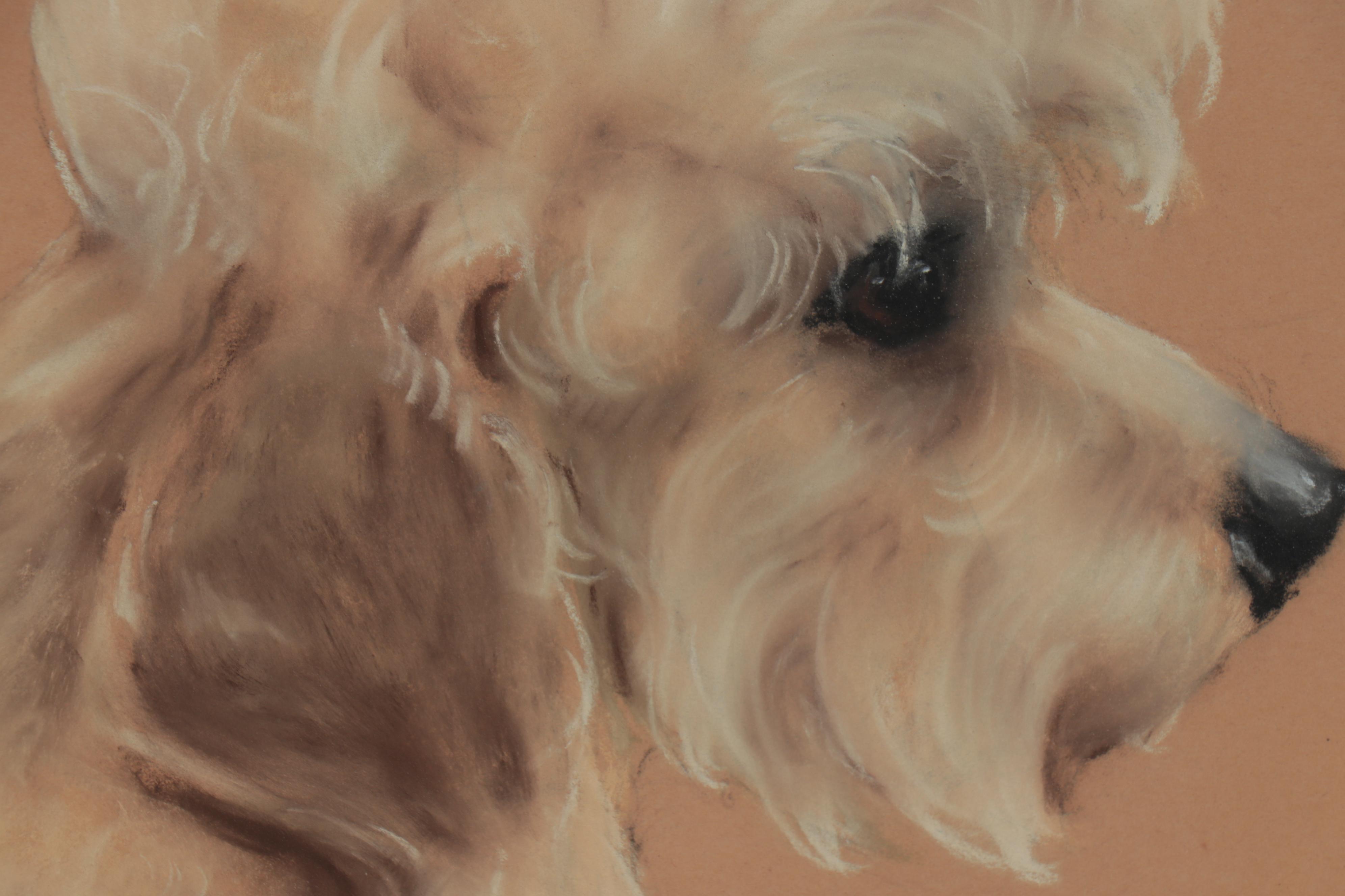 Marjorie Walker Pastel Drawing of Dandie Dinmont Terrier, 1935 | EBTH